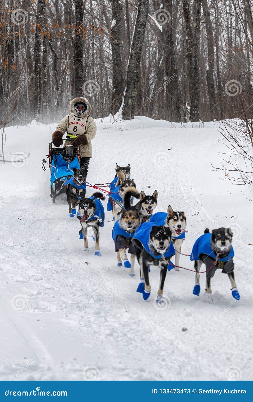 Erin Altemus Comes Dentro Al Gruppo Concentrare Minerale Fotografia ...