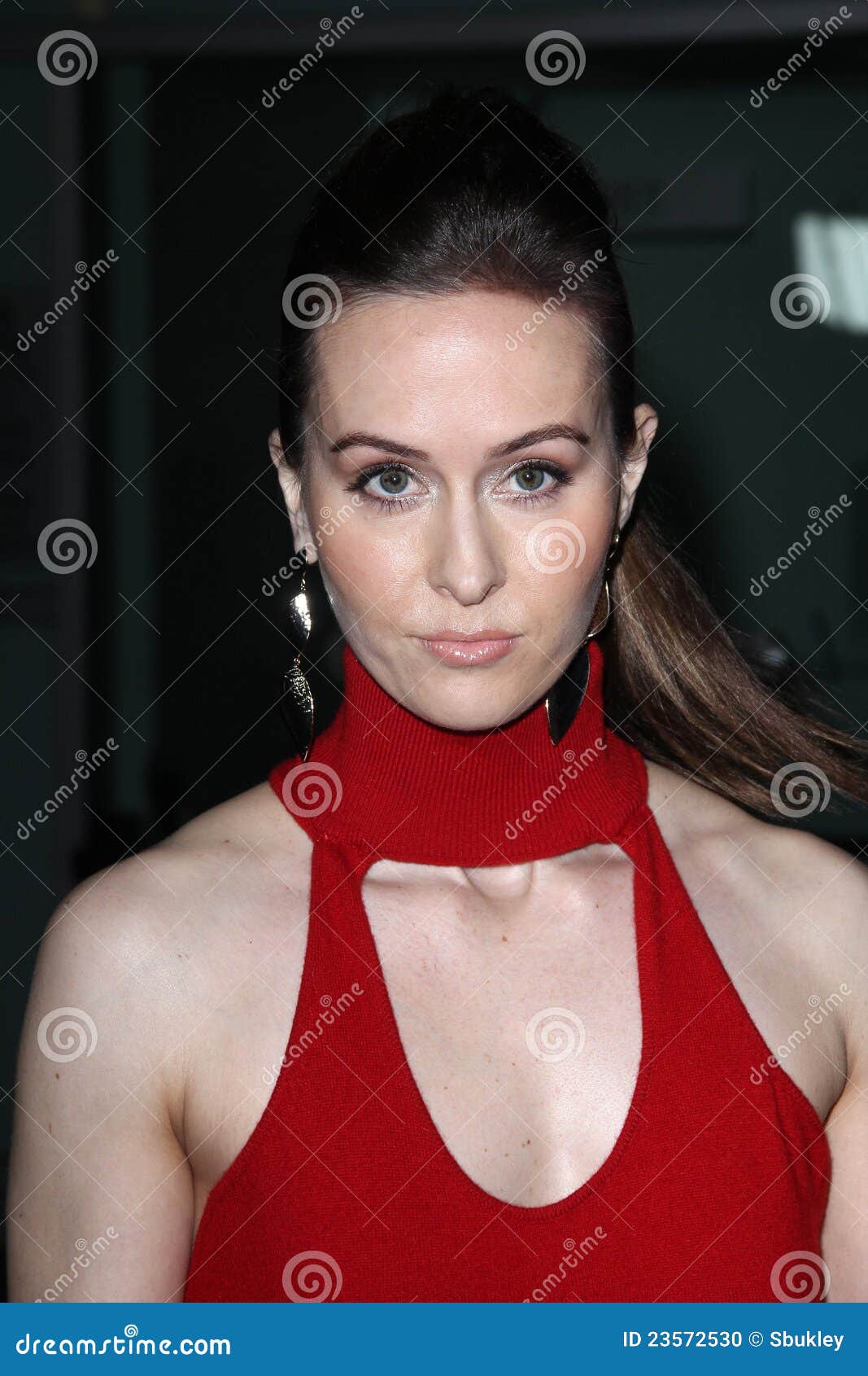 Erin Carufel editorial image. Image of hollywood, erin - 23572530