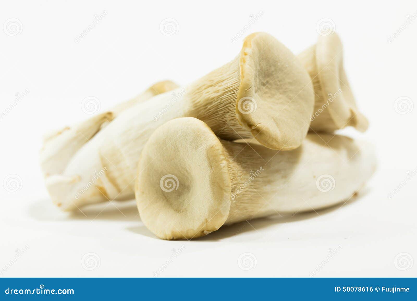 Eringi stock photo. Image of cooking, pleurotus, vegetarian - 50078616