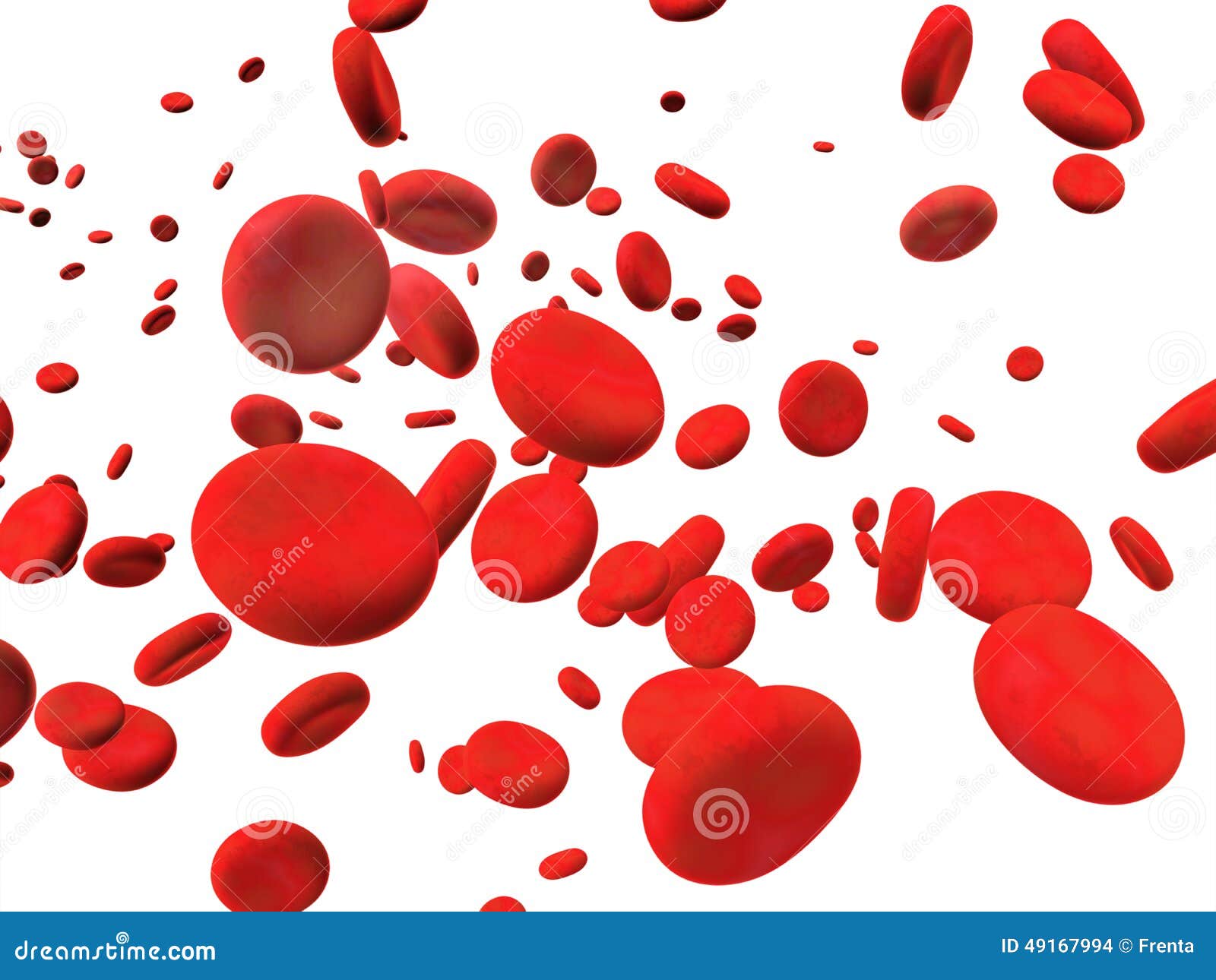 Eritrociti illustrazione di stock. Illustrazione di microbiologia ...