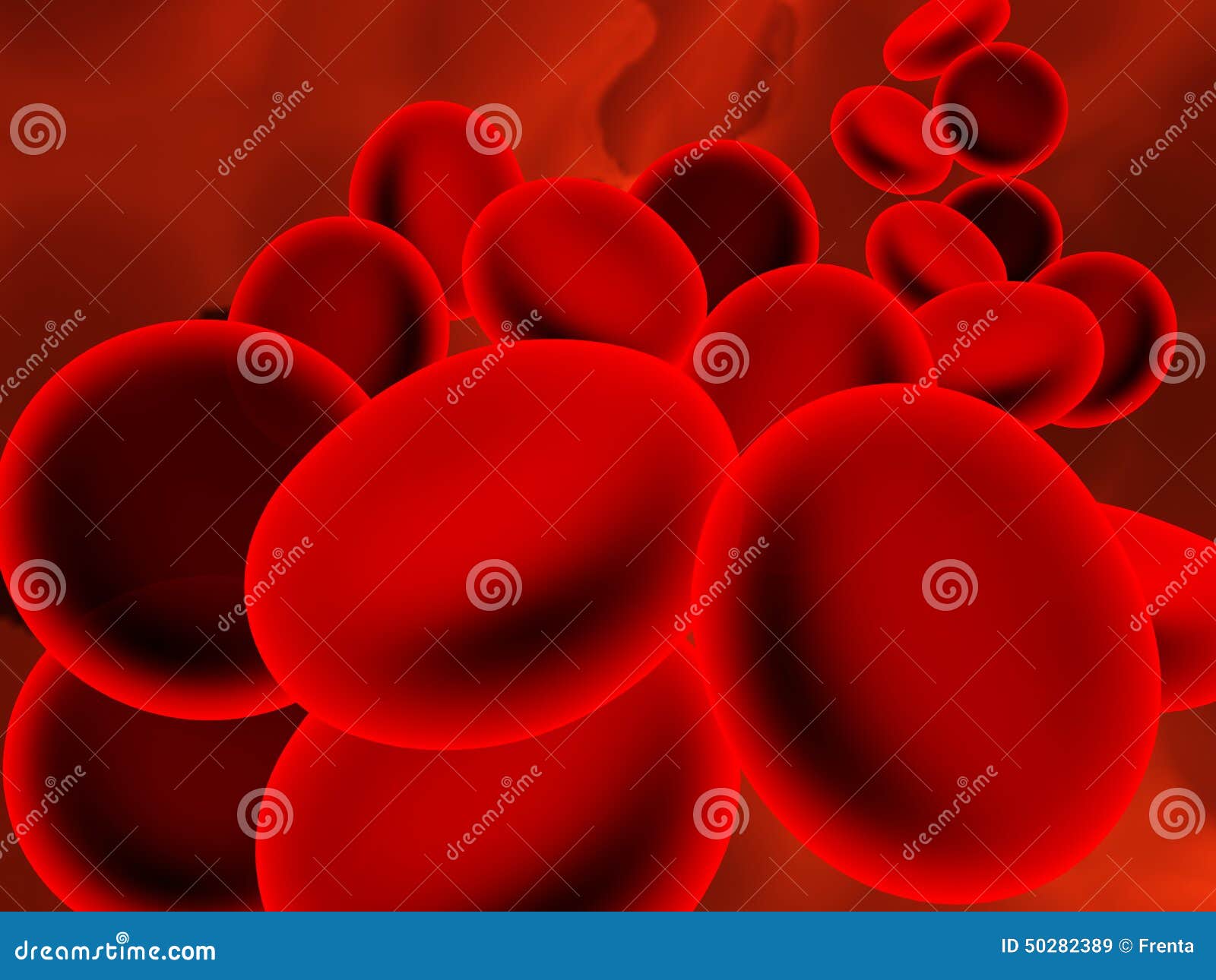 Eritrociti illustrazione di stock. Illustrazione di chiusura - 50282389