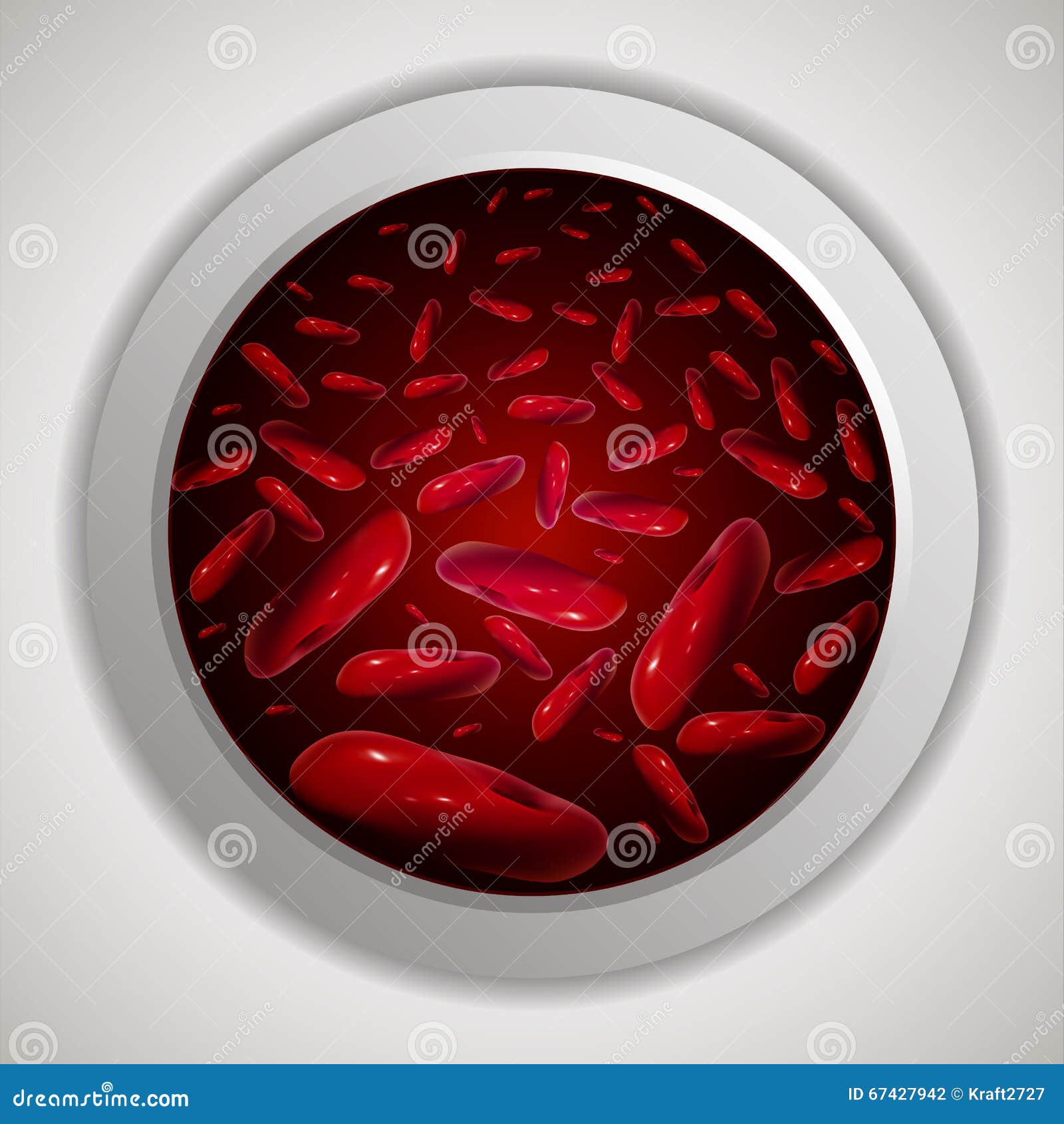 Eritrociti nel capillare illustrazione vettoriale. Illustrazione di ...