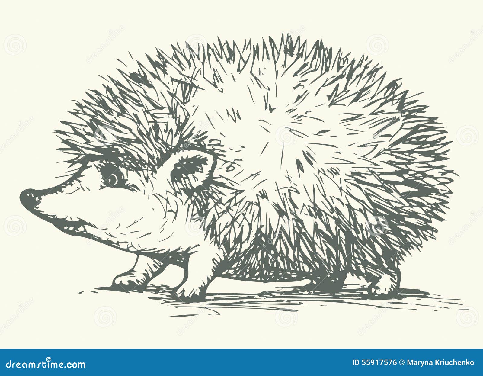 Erizo Gráfico del vector ilustración del vector. Ilustración de hocico ...