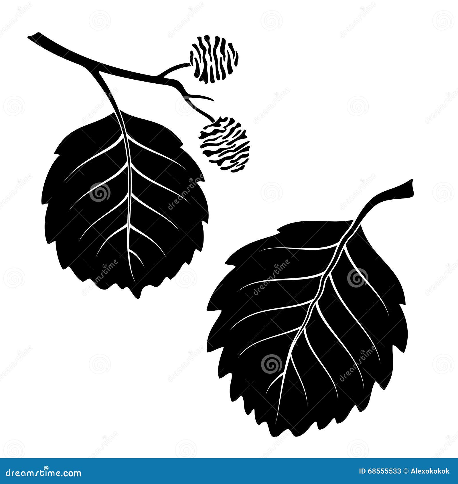 Erlen-Blätter, Piktogramm-Satz Vektor Abbildung - Illustration von ...