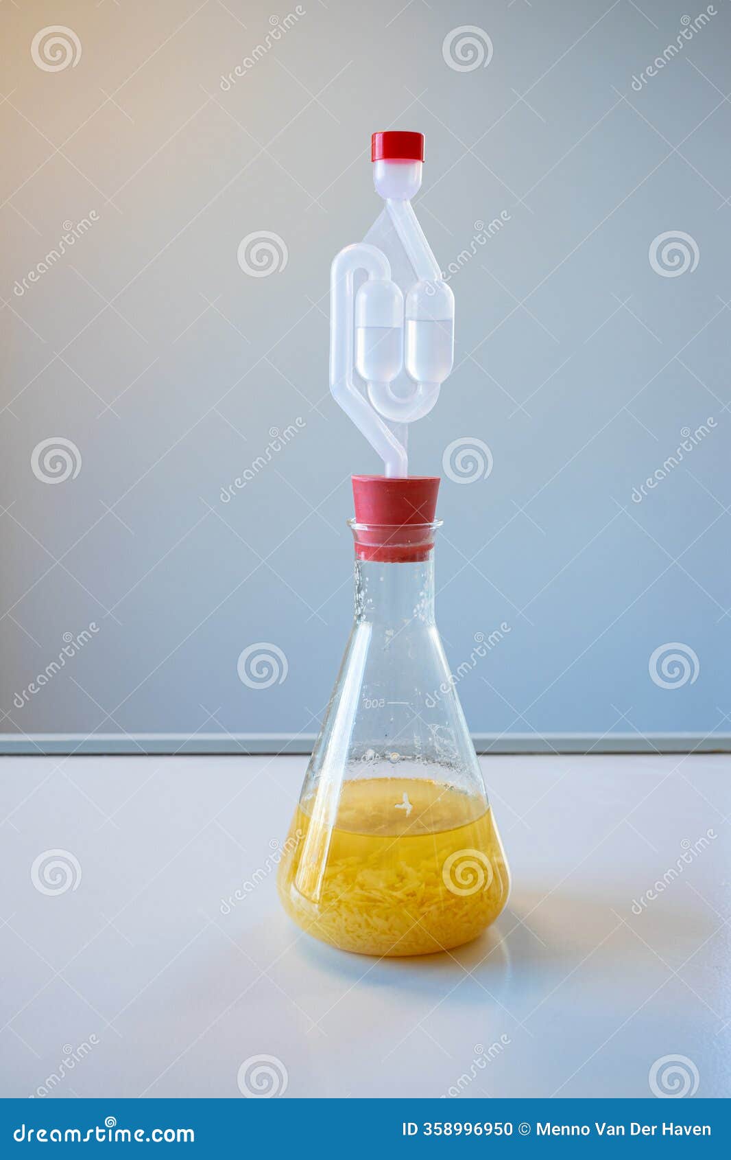 Erlenmeyer Flask with Lock. Stock Photo - Image of fruit, palinka ...