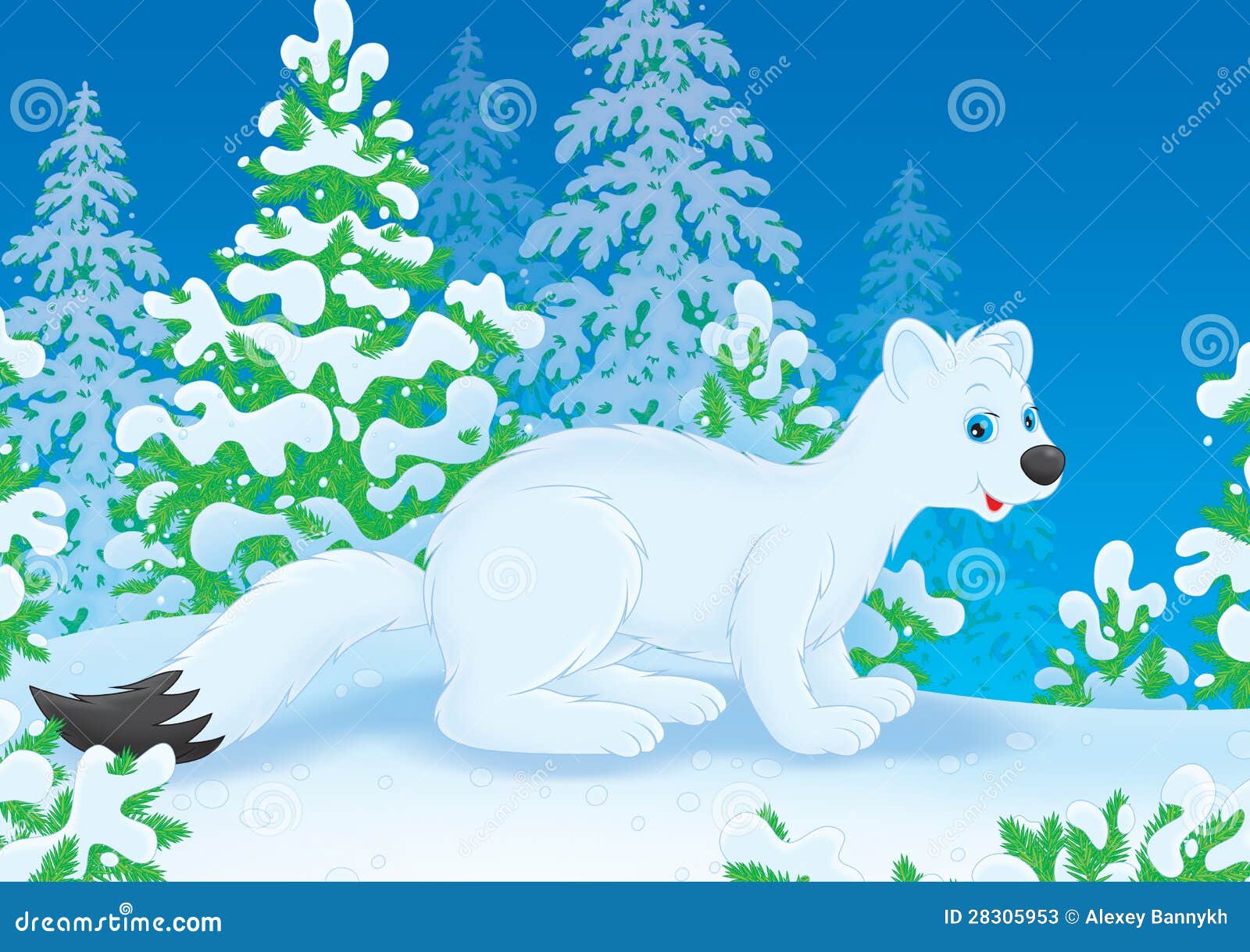 White Ermine Cartoon Illustration | CartoonDealer.com #69378541