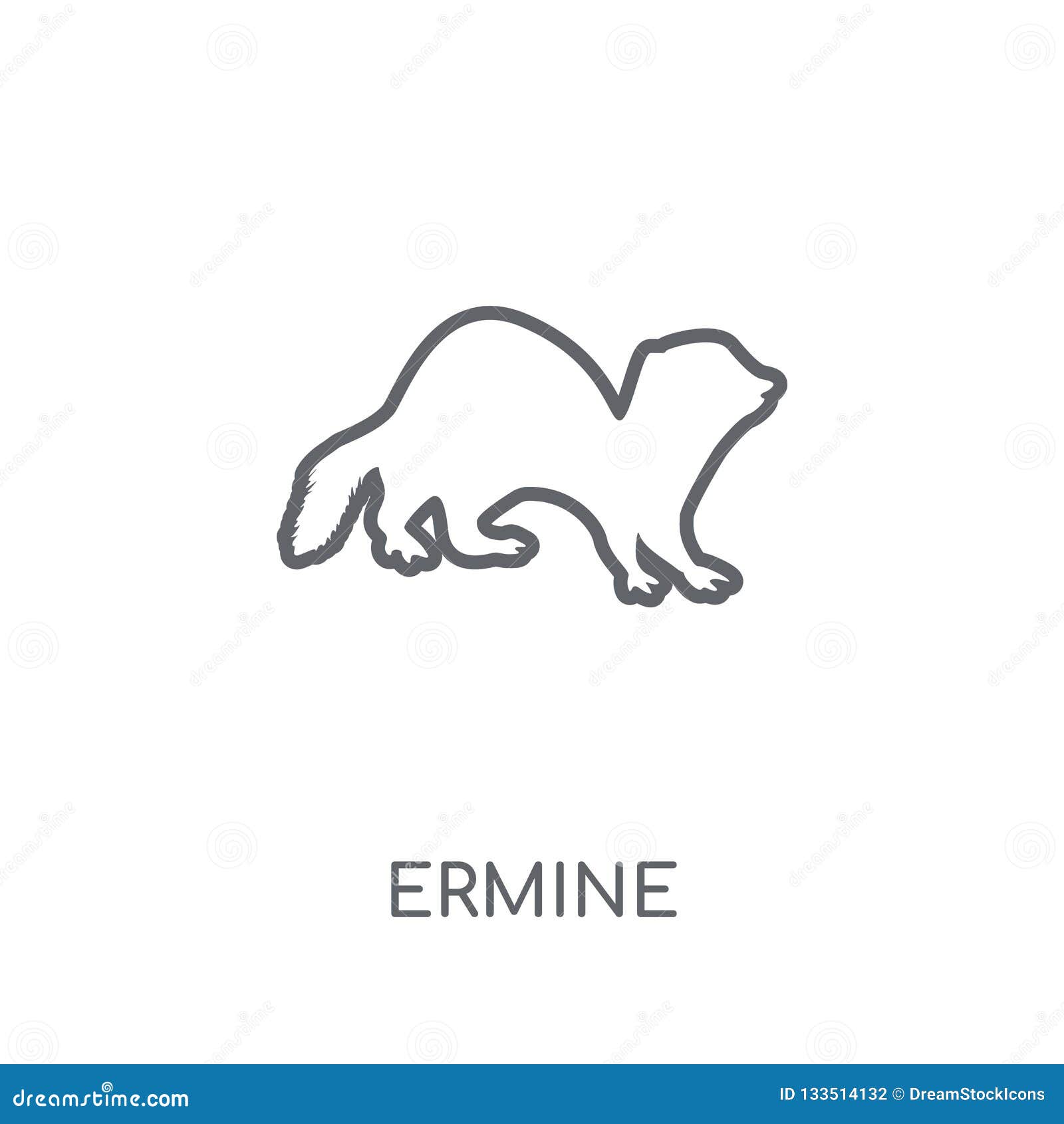 White Ermine Cartoon Illustration | CartoonDealer.com #69378541