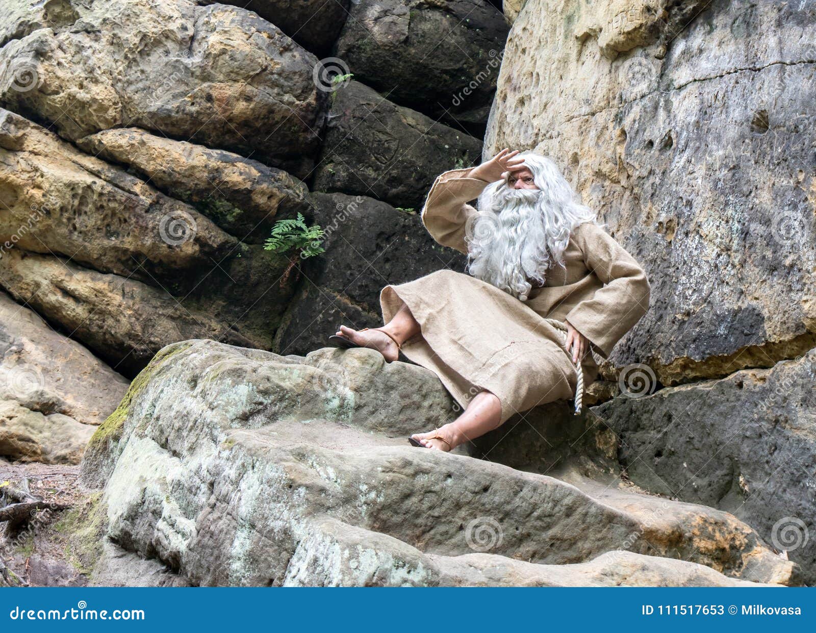 Ermite Barbu Dans Les Roches Image stock - Image du distance, maison ...