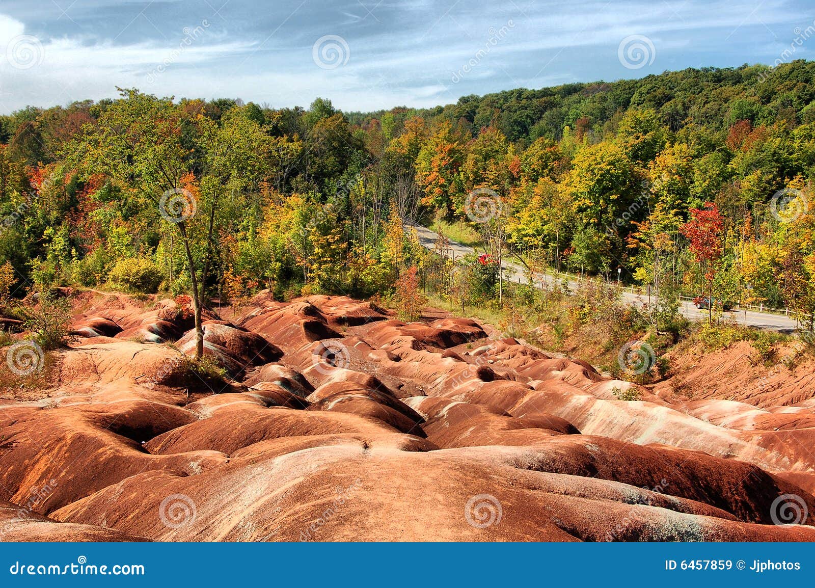 Ermo (HDR) imagem de stock. Imagem de outono, caduco, pântanos - 6457859