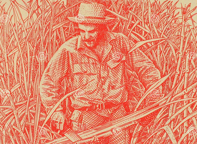 Ernesto Che Guevara editorial photo. Image of uncirculated - 21266886