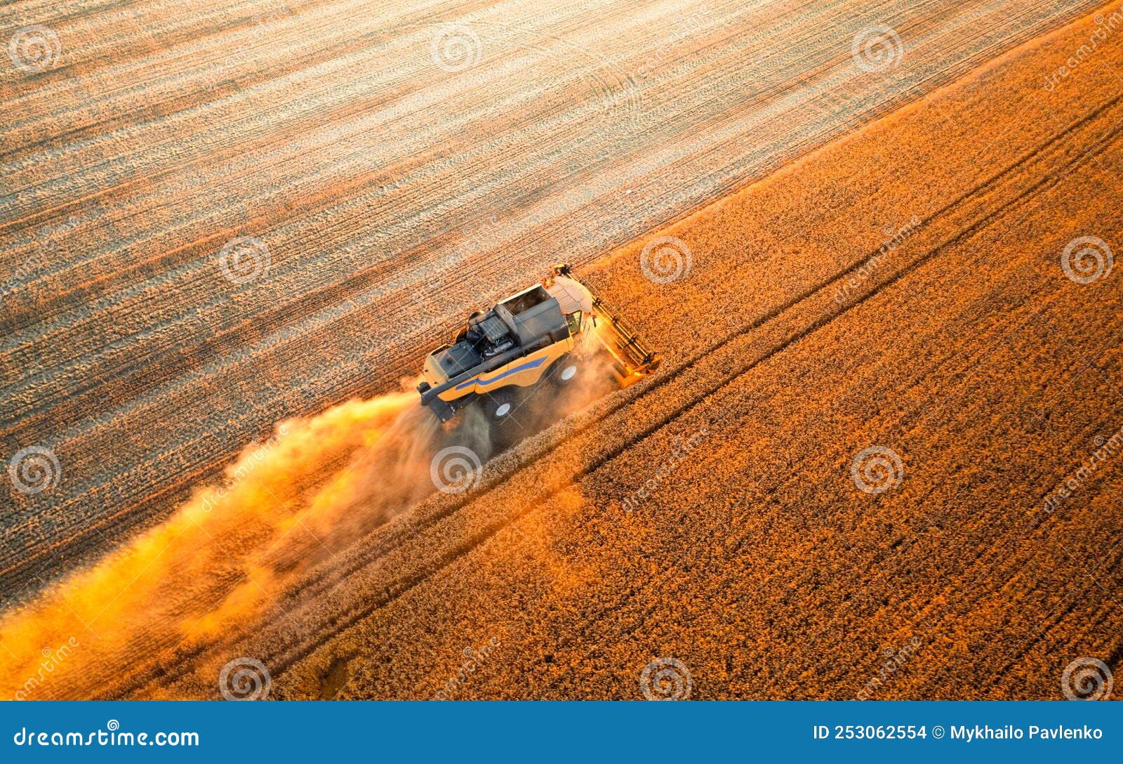 Ernte Von Getreide Im Feld. Stockfoto - Bild von betrieb, feld: 253062554