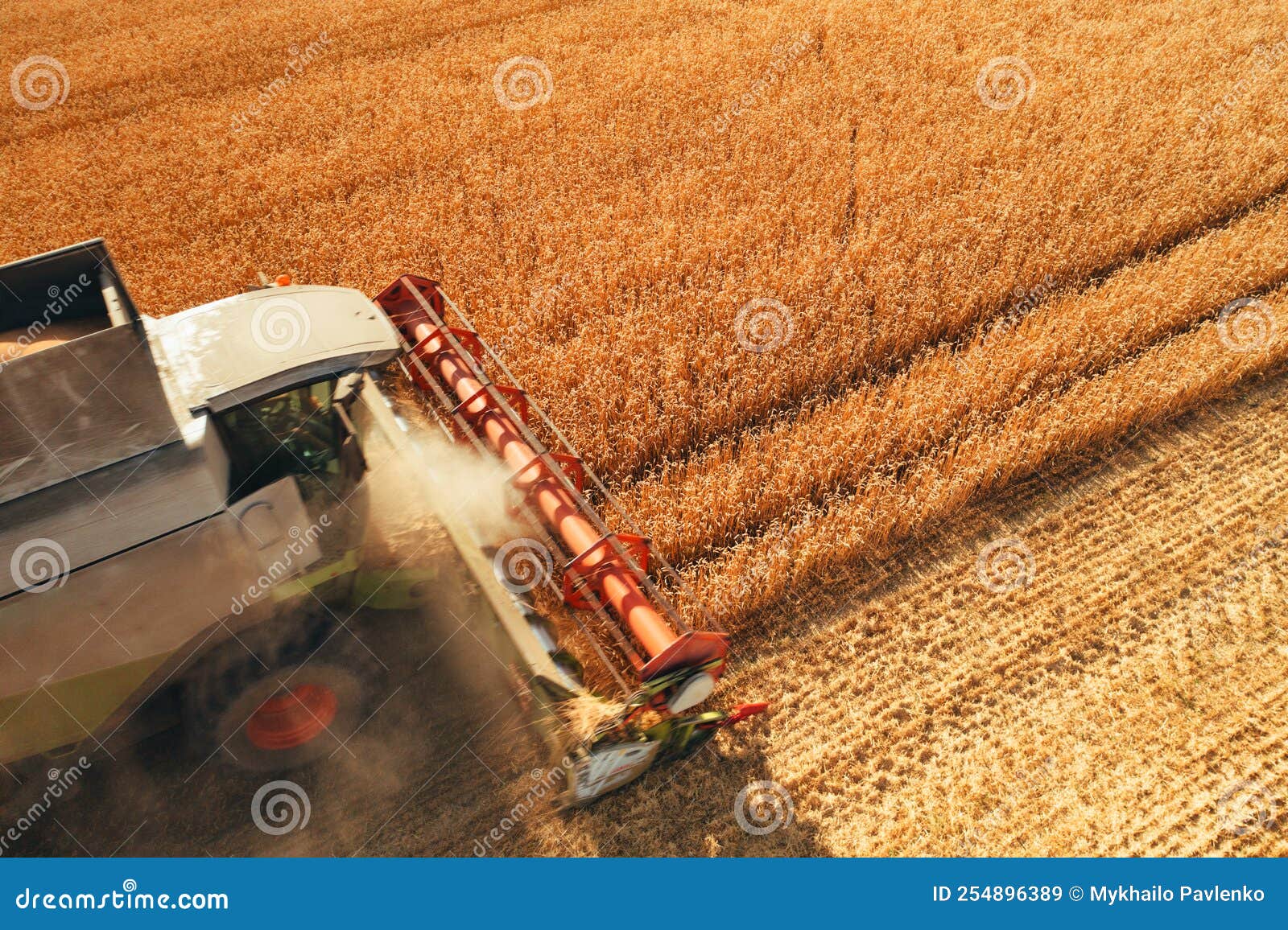 Ernte Von Getreide Im Feld. Stockbild - Bild von herbst, ernten: 254896389
