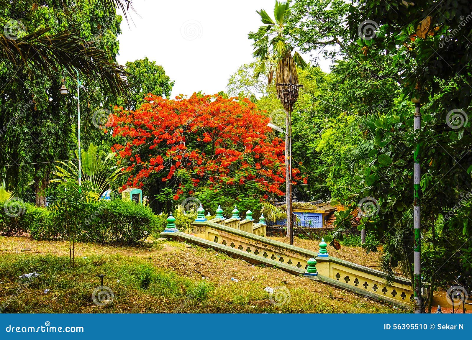 Erode park stock photo. Image of place, beautiful, tree - 56395510