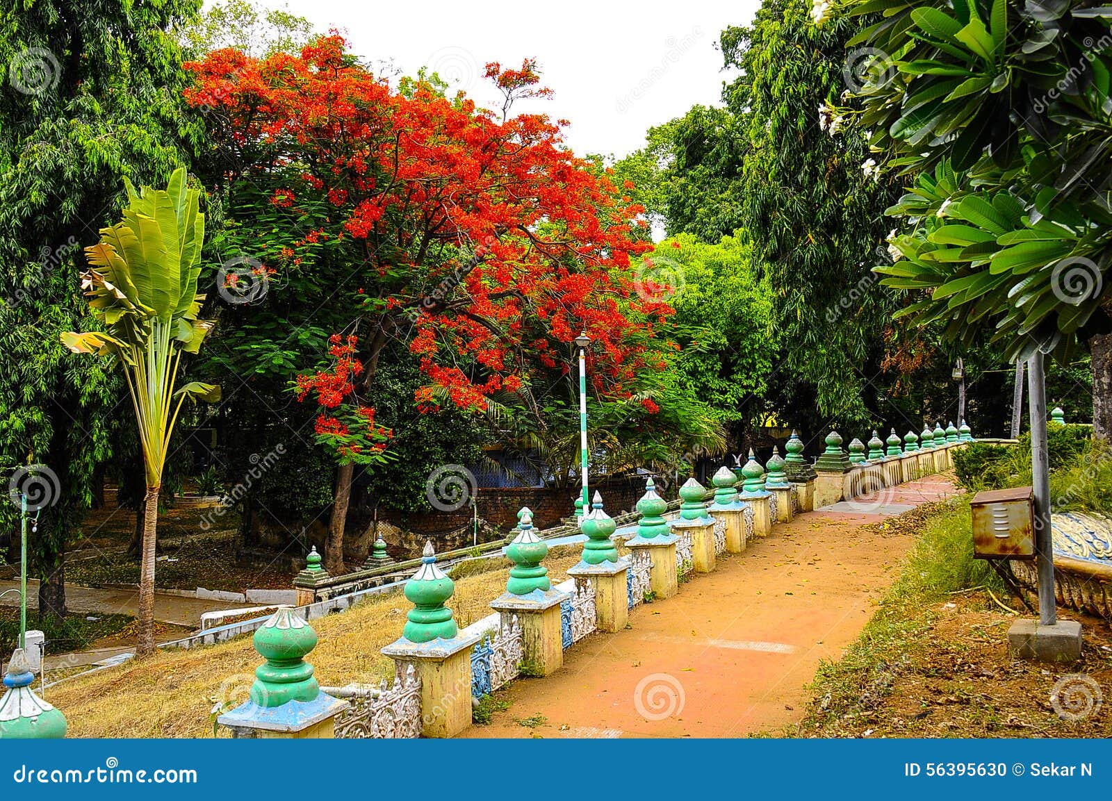 Erode park stock photo. Image of park, partern, used - 56395630