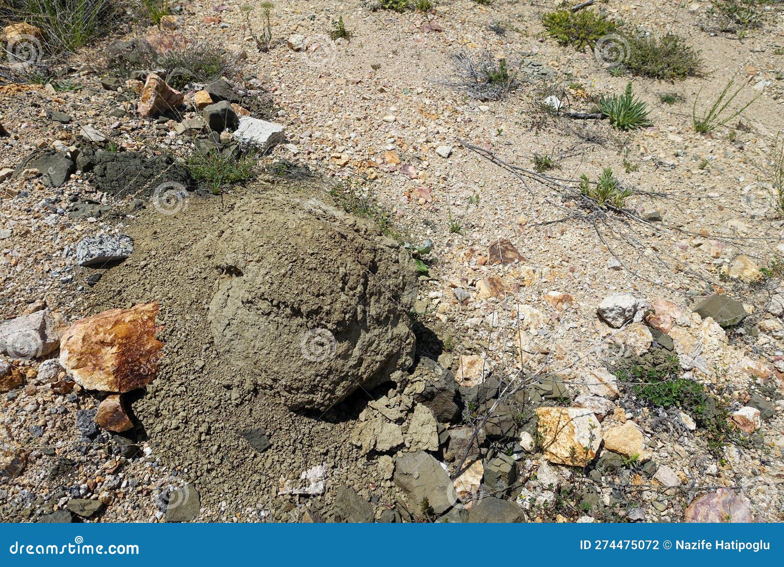 Eroded, Crumbling Rock On The Piestewa Summit Trail In The Mountains Of ...