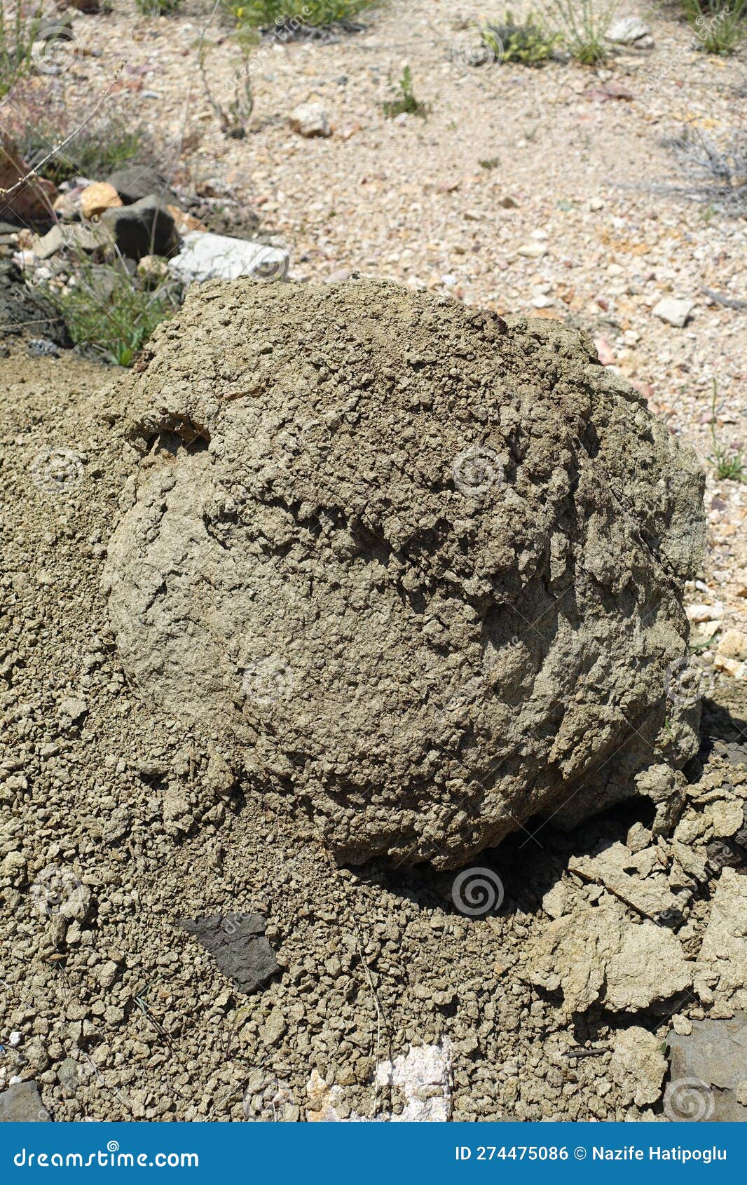 Eroded, Crumbling Rock On The Piestewa Summit Trail In The Mountains Of ...