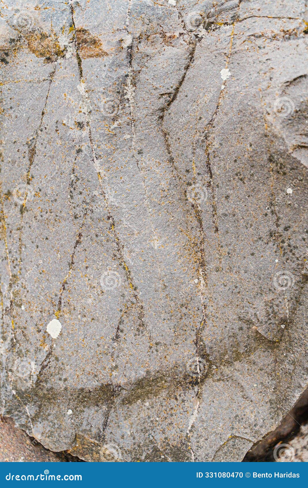 Eroded and Decayed Rock Stone Texture with Cracks and Grooves Stock ...
