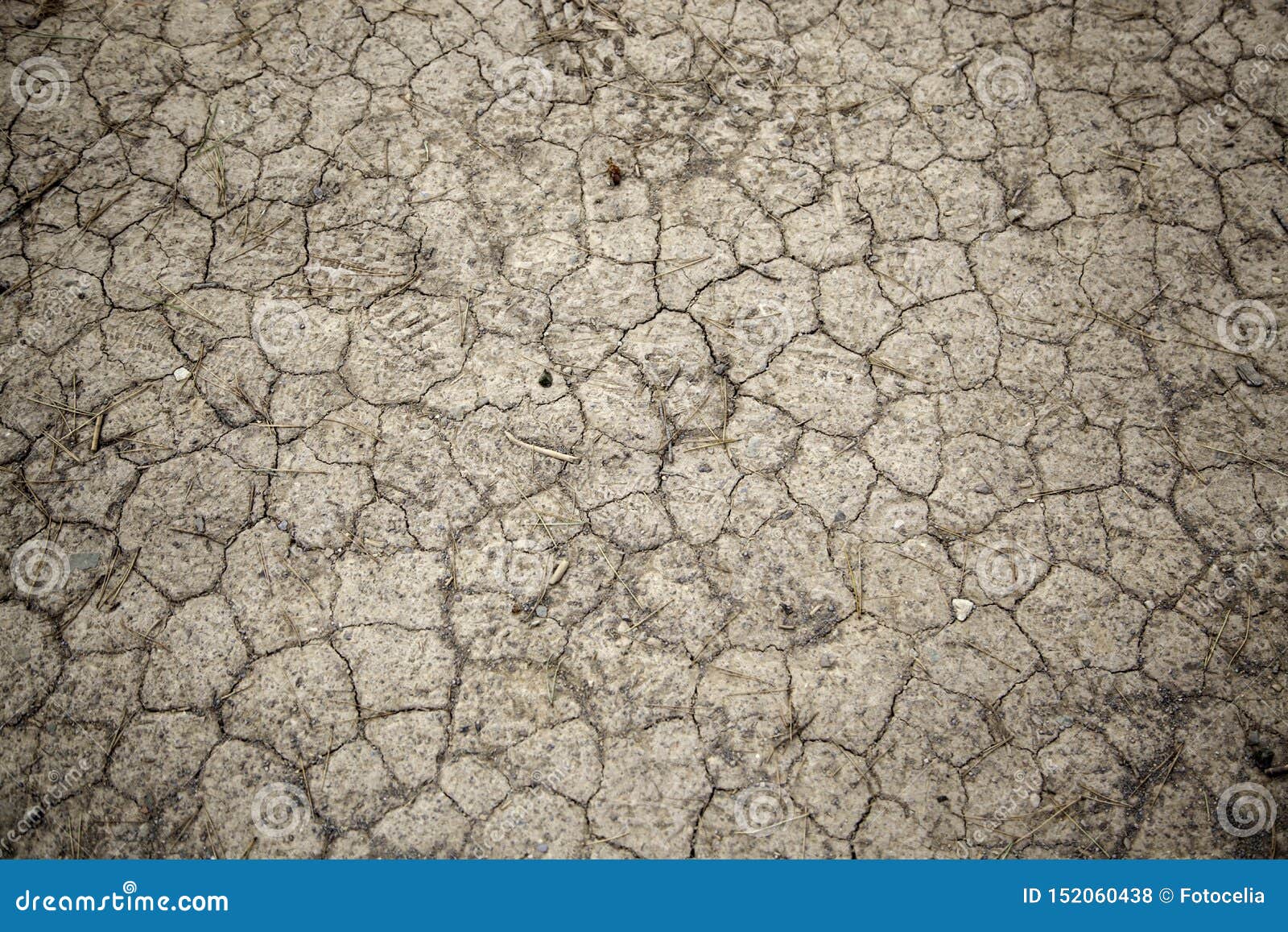 Eroded earth texture stock photo. Image of detail, limestone - 152060438