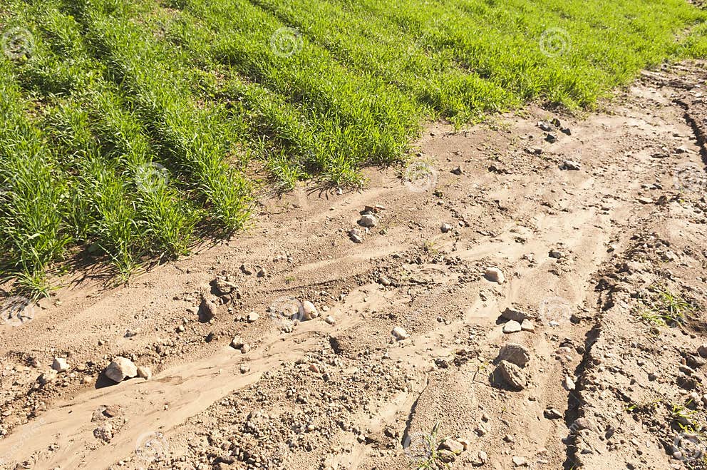 Eroded field stock photo. Image of detail, rural, rubble - 28531444