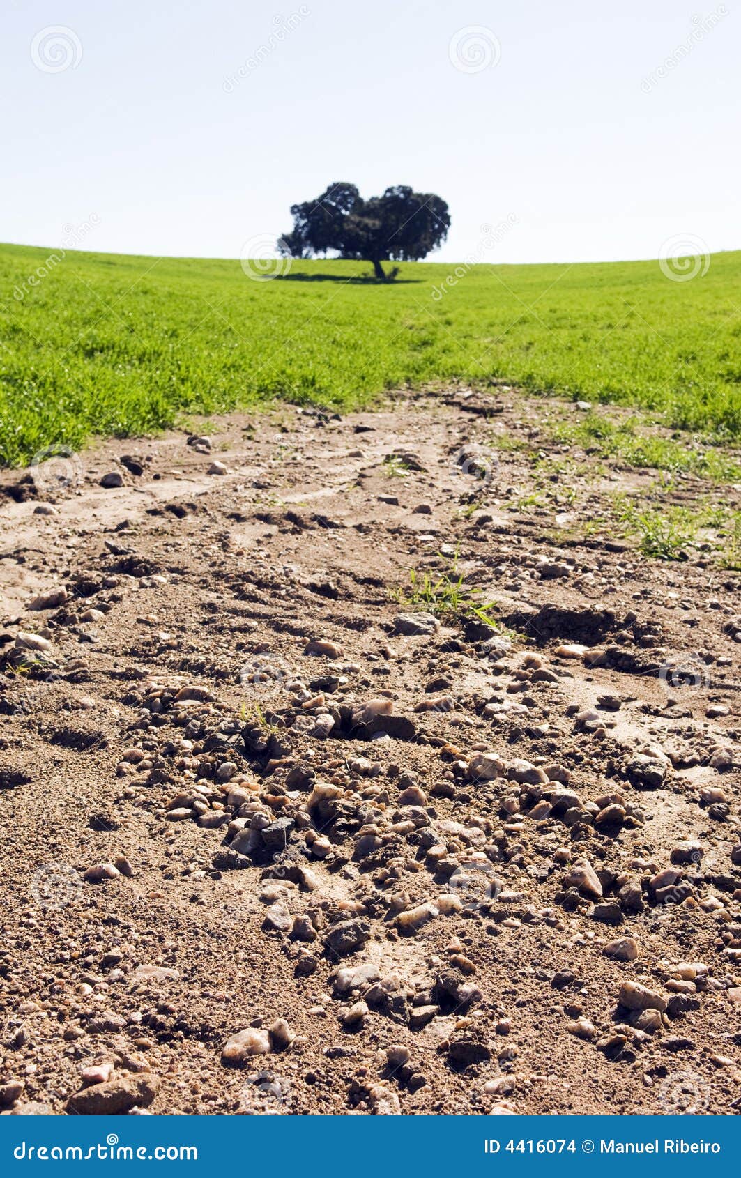 Eroded field stock photo. Image of plains, hill, green - 4416074