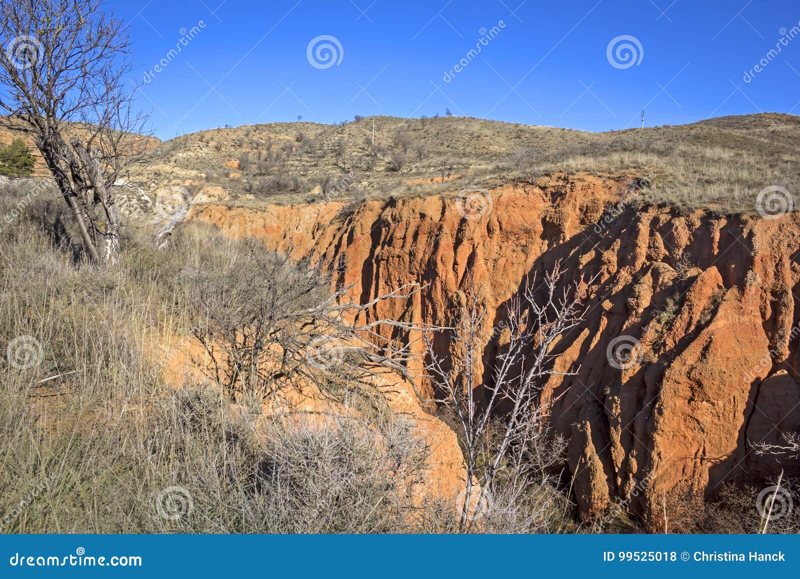 Eroded Landscape in Spain, Aragon Stock Photo - Image of trees ...