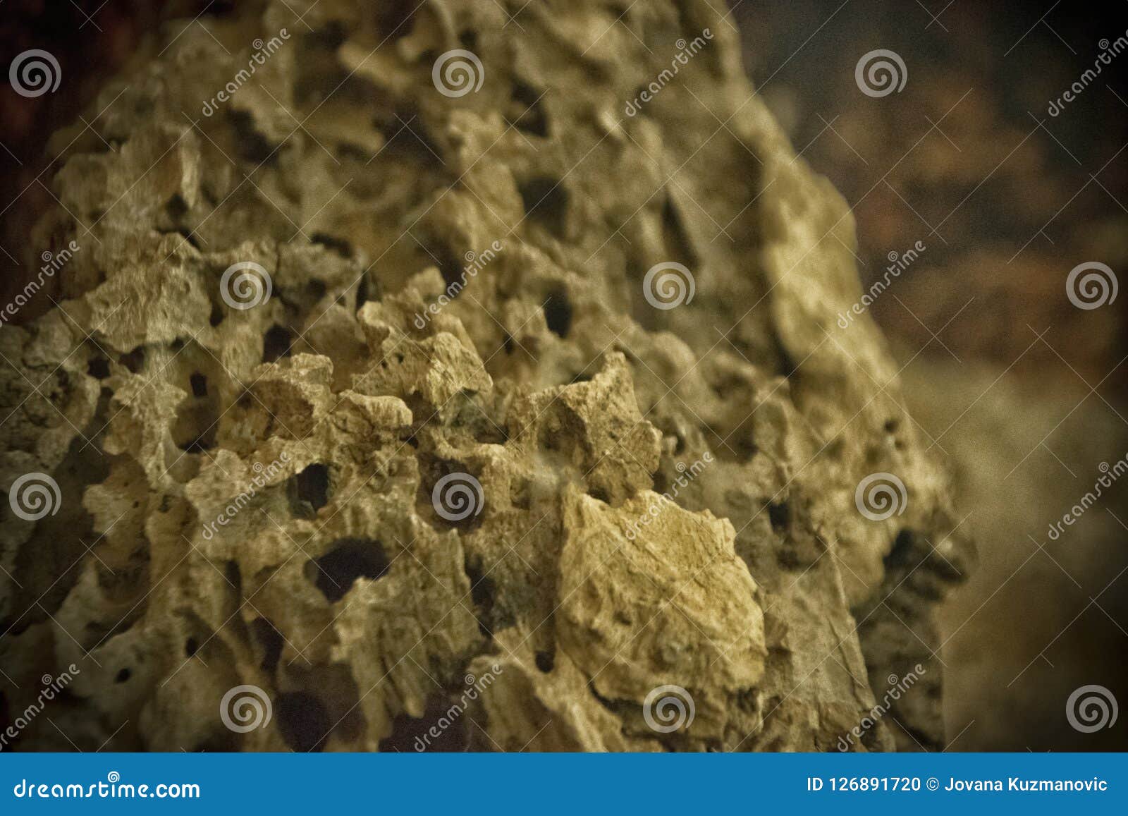 Eroded Rock stock photo. Image of structure, brown, macro - 126891720