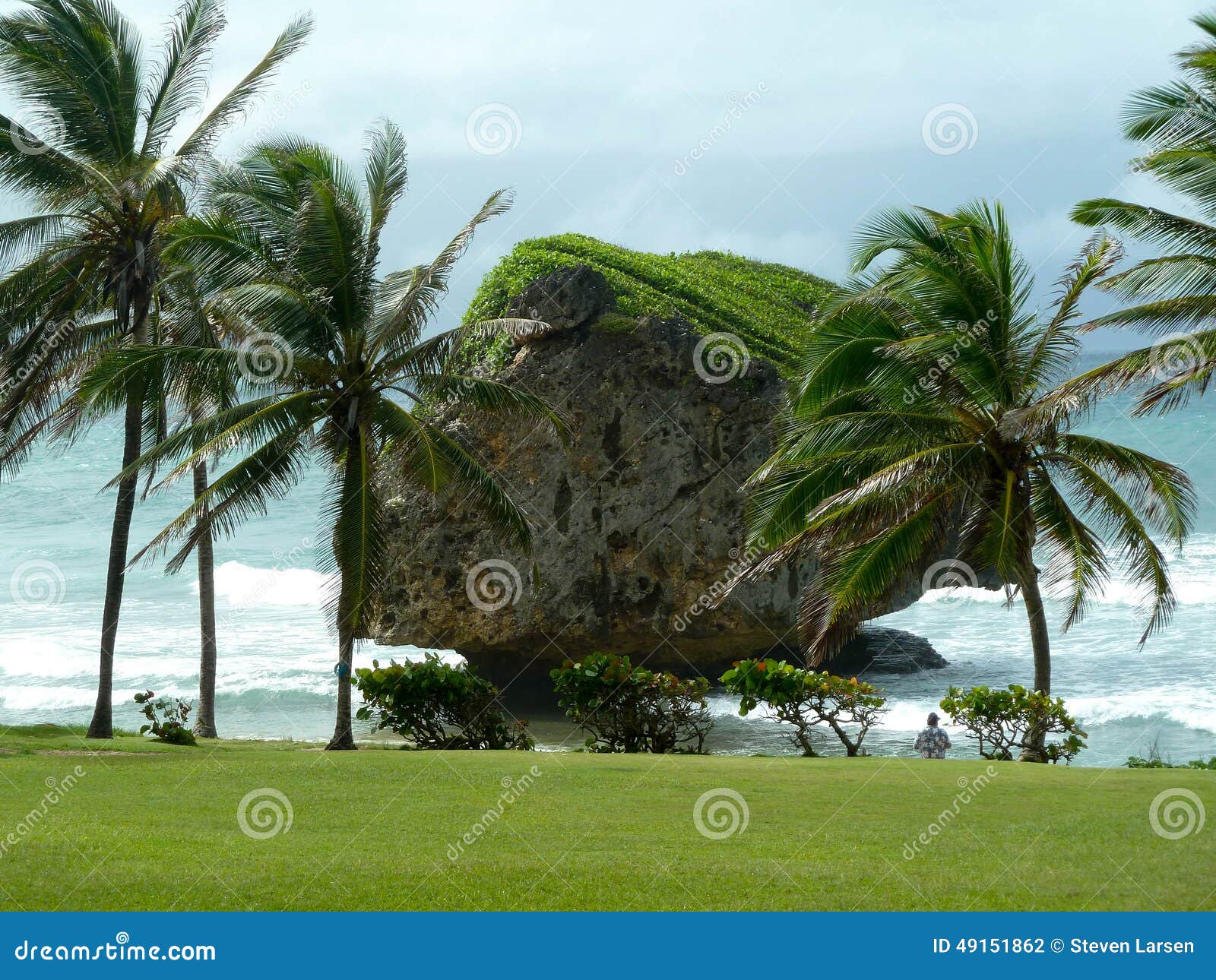 Eroded Rock with Greenery on Coast Stock Photo - Image of caribbean ...