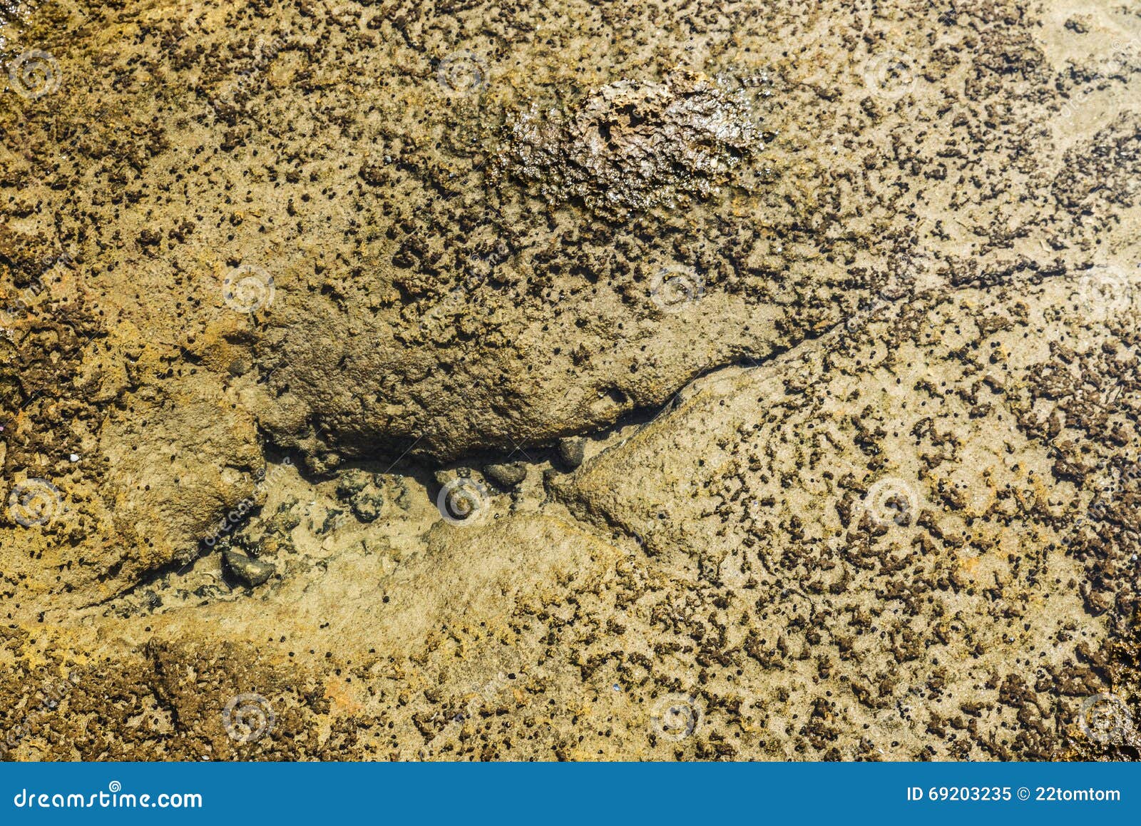 Eroded rocks underwater stock image. Image of underwater - 69203235