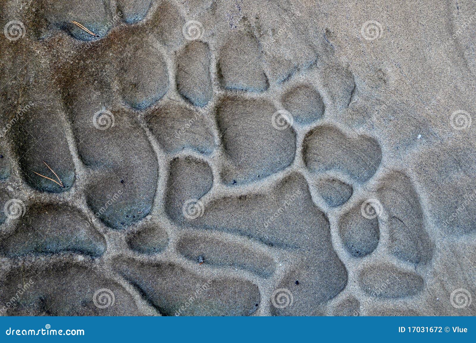 Eroded Sandstone Texture stock photo. Image of formation - 17031672