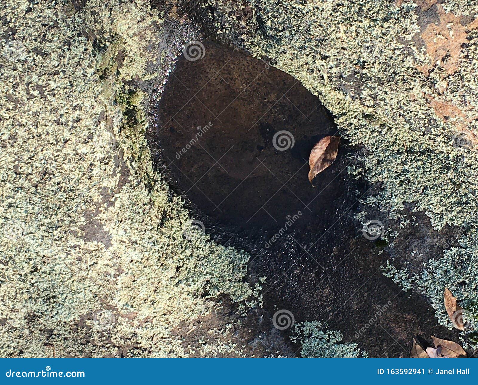 Eroded section of rock stock image. Image of power, rock - 163592941