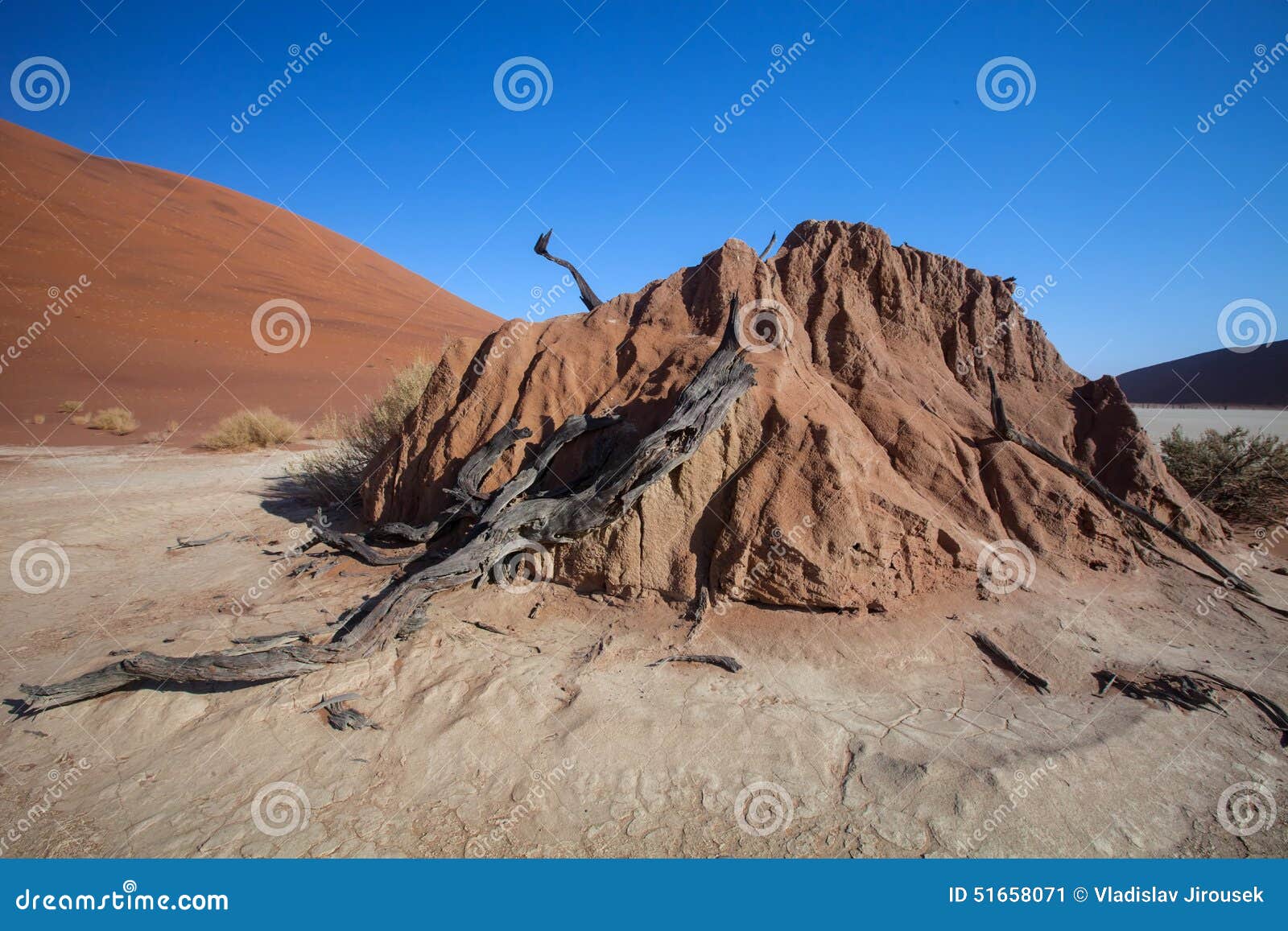 The Eroded Soil with Dried Roots of Trees, Sossusvlei, Namibia Stock ...