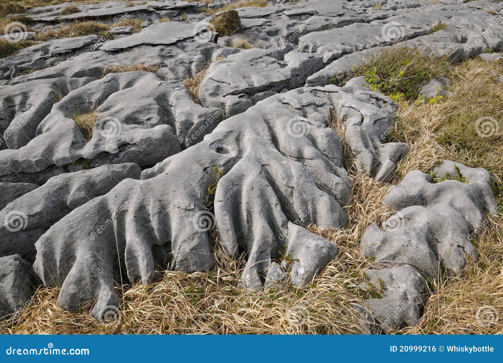 Eroded Water Washed Limestone Stock Photo - Image of pavement, erosion ...