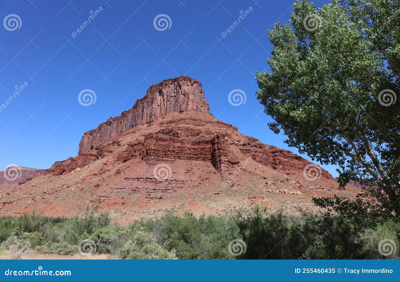 An Eroding Mountain of Sandstone, with Vegetation at the Lower ...