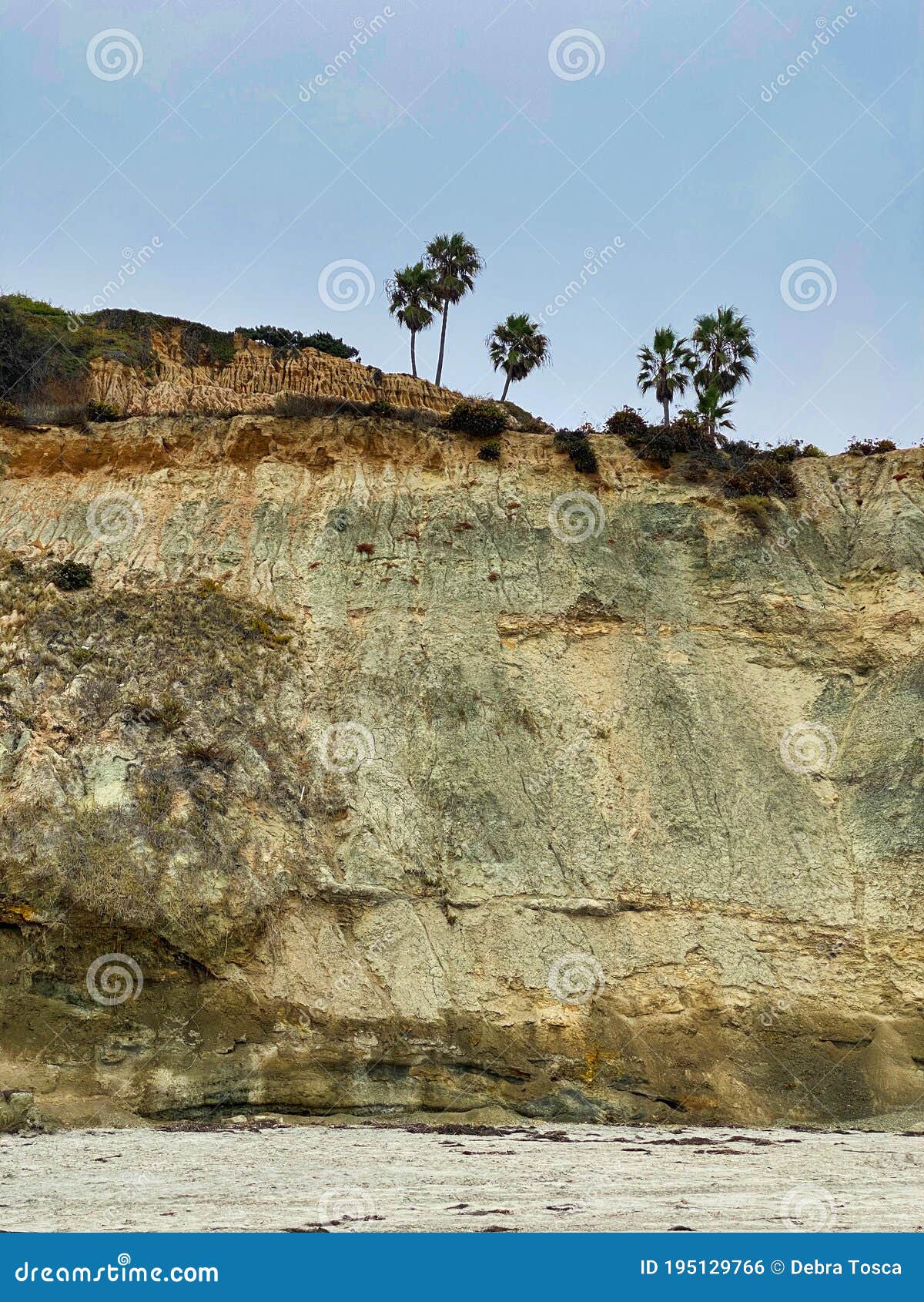 Erosion Coastline Cliffs California Stock Photo - Image of cliffs, side ...