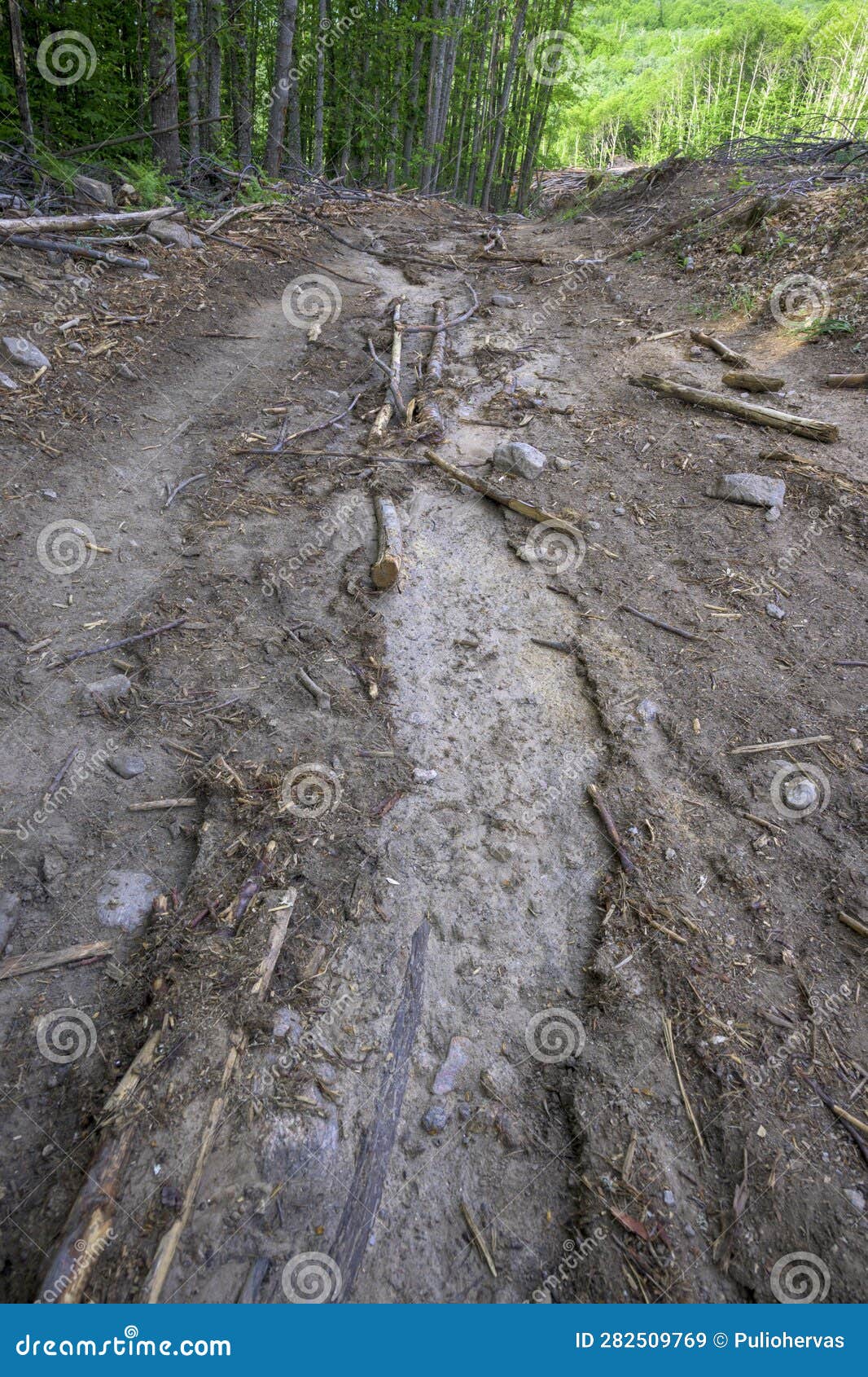Erosion of the Earthen Floor Due To Deforestation in Spain in Vertical ...