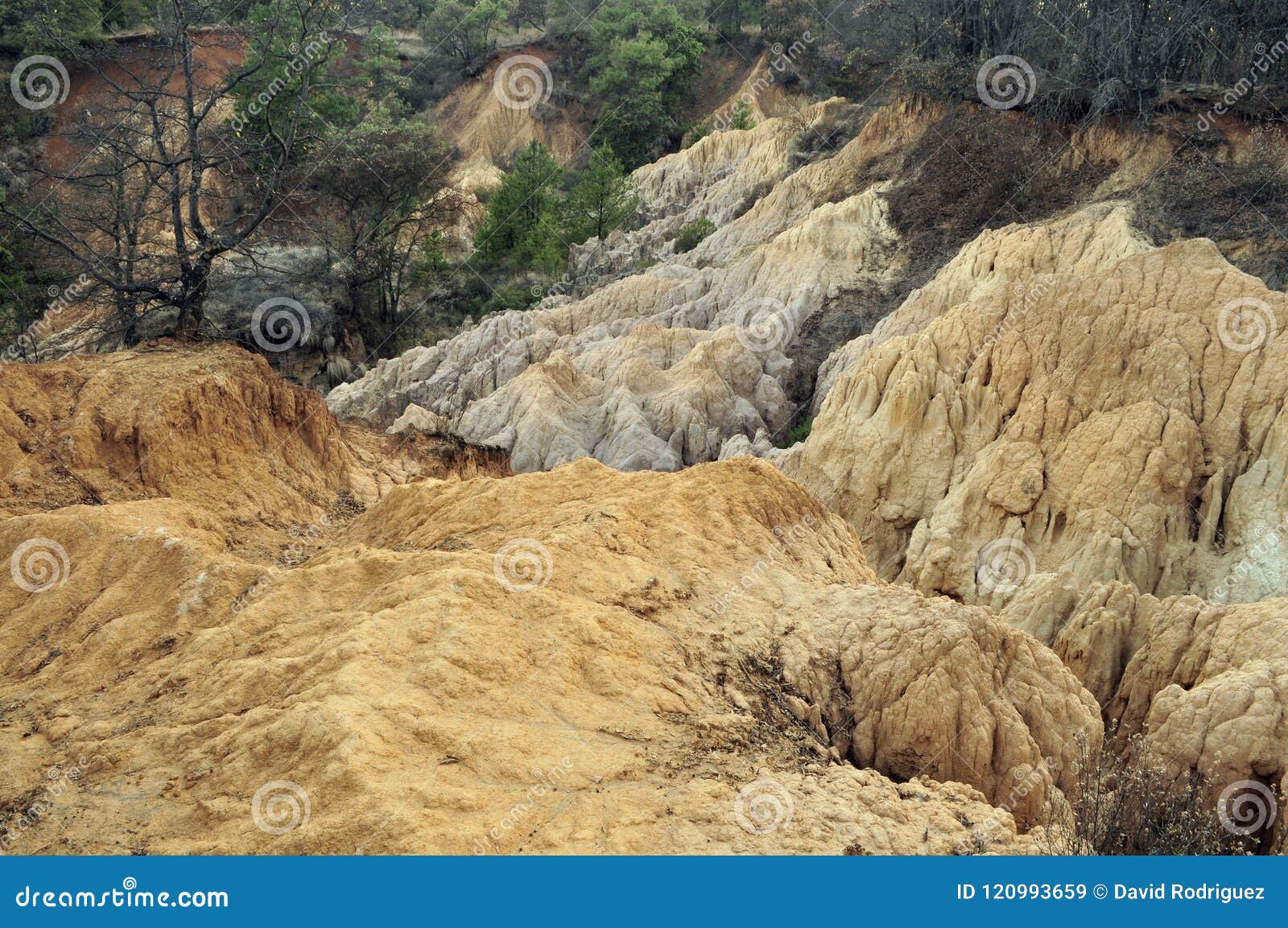 Erosion stock image. Image of mexico, erosion, forest - 120993659