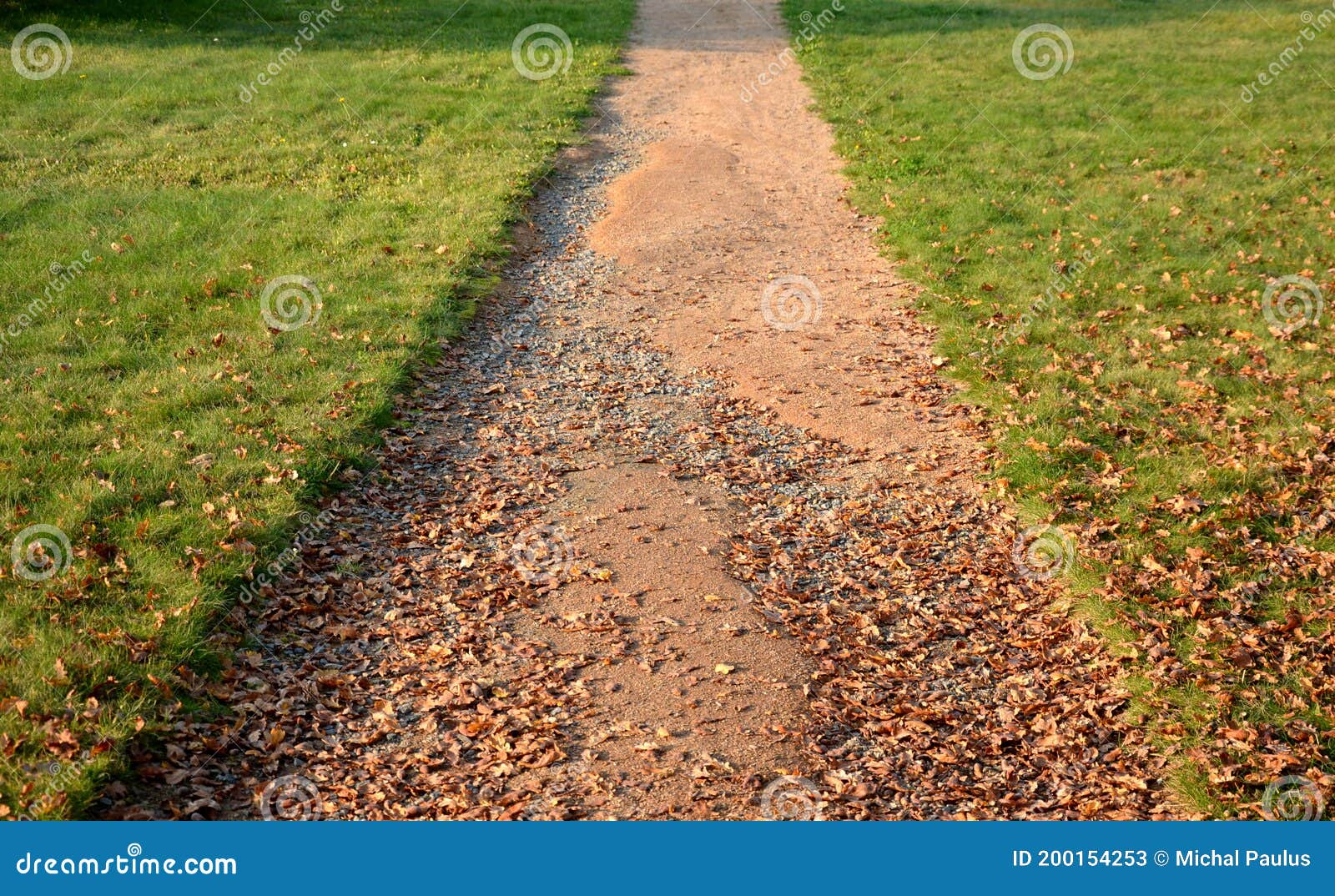 Erosion of the Park Path Will Damage the Upper Sandy Gravel. Regular ...