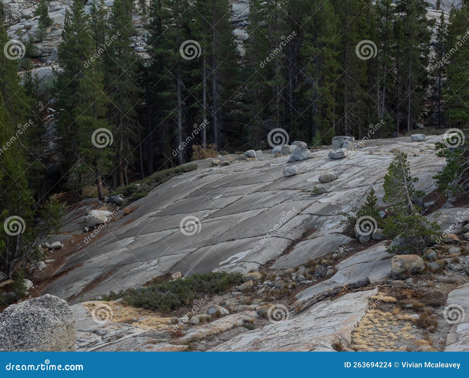 Erosion Pattern on Granite Cliff in Yosemite Stock Photo - Image of ...