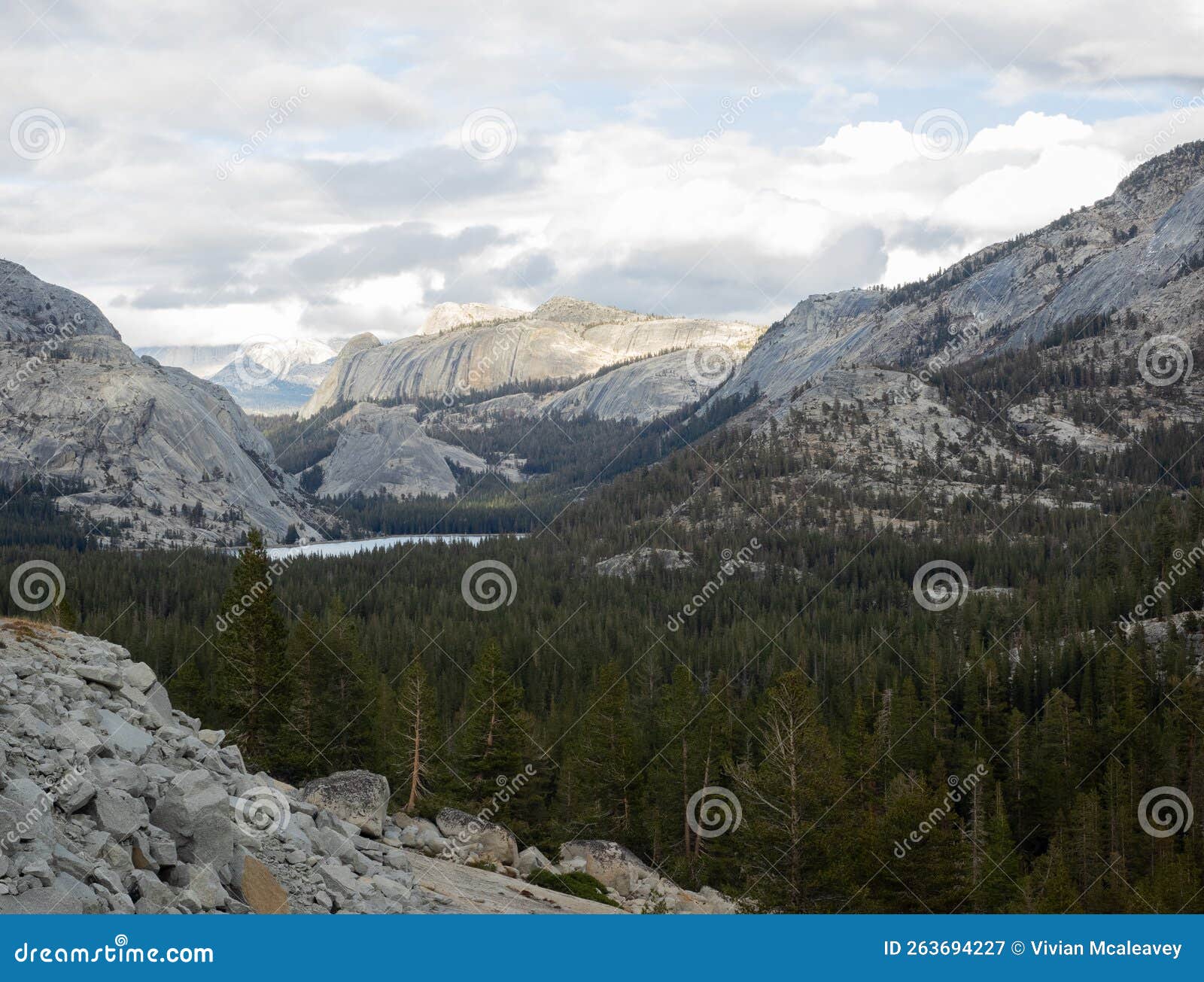 Erosion Pattern on Granite Cliff in Yosemite Stock Image - Image of ...