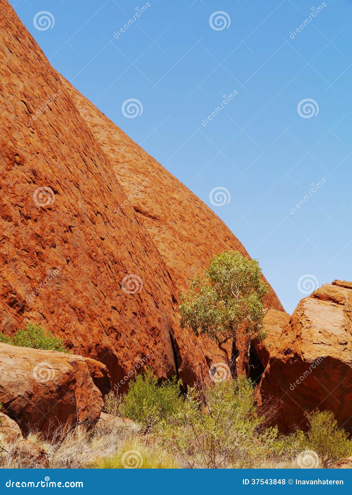 The Erosion Pattern of a Rock Editorial Stock Photo - Image of desert ...