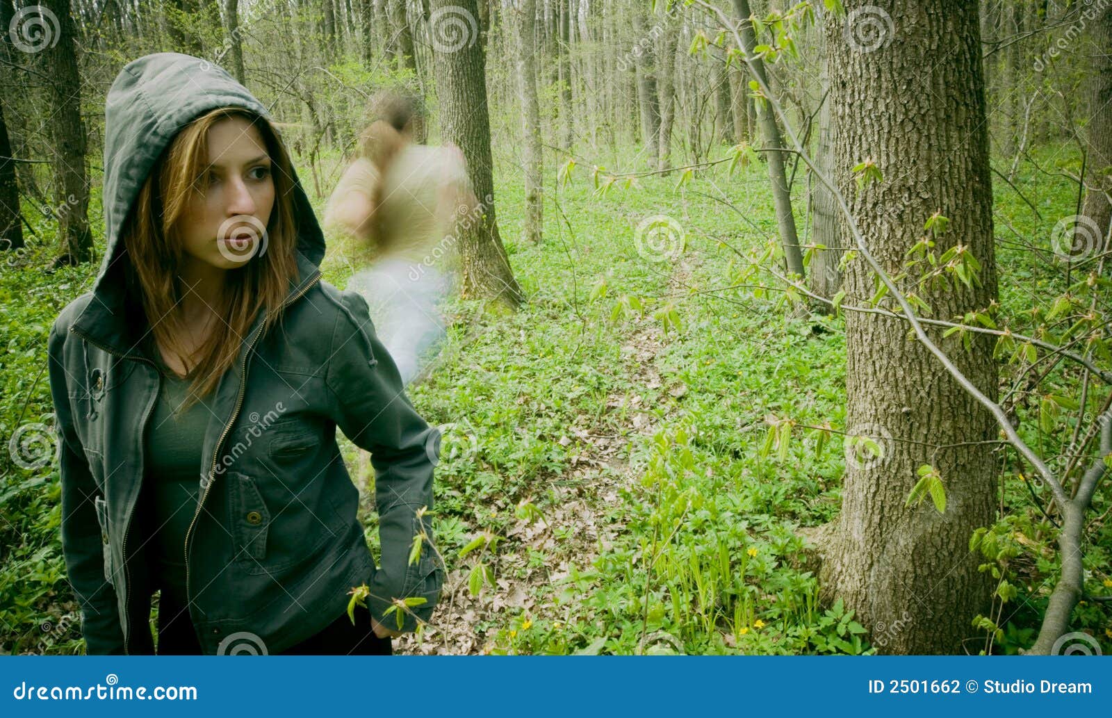 Errer photo stock. Image du explorez, adulte, dense, curieux - 2501662