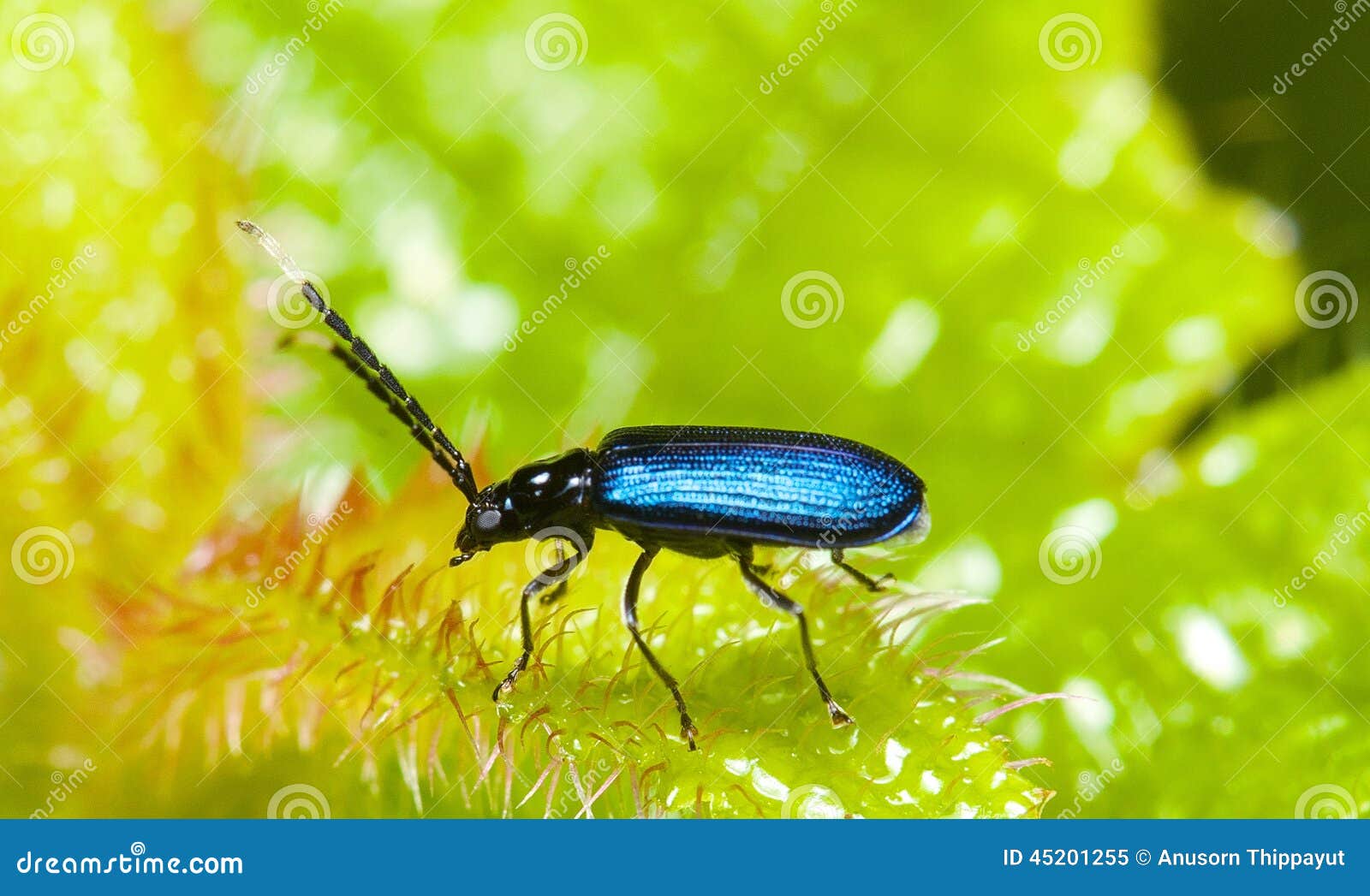 Errore di programma blu immagine stock. Immagine di minuscolo - 45201255