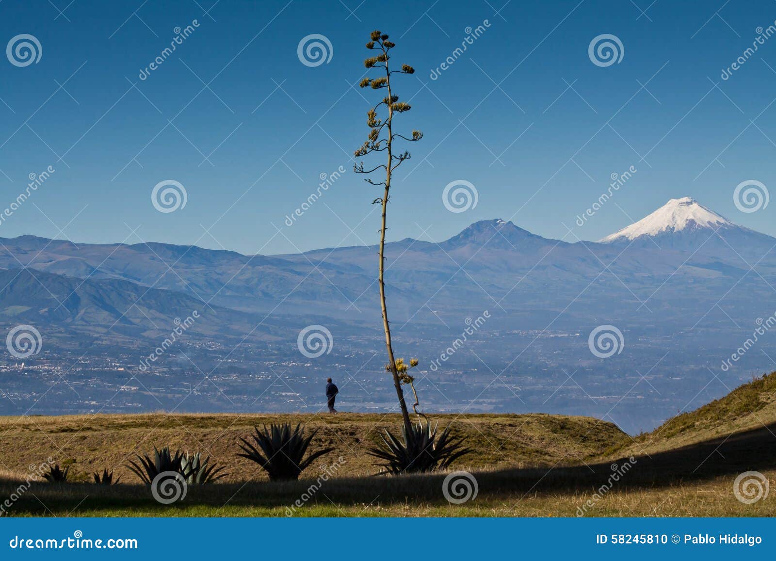 Erstaunliche Ansicht Von Cotopaxi-Vulkan, Ecuador Stockfoto - Bild von ...