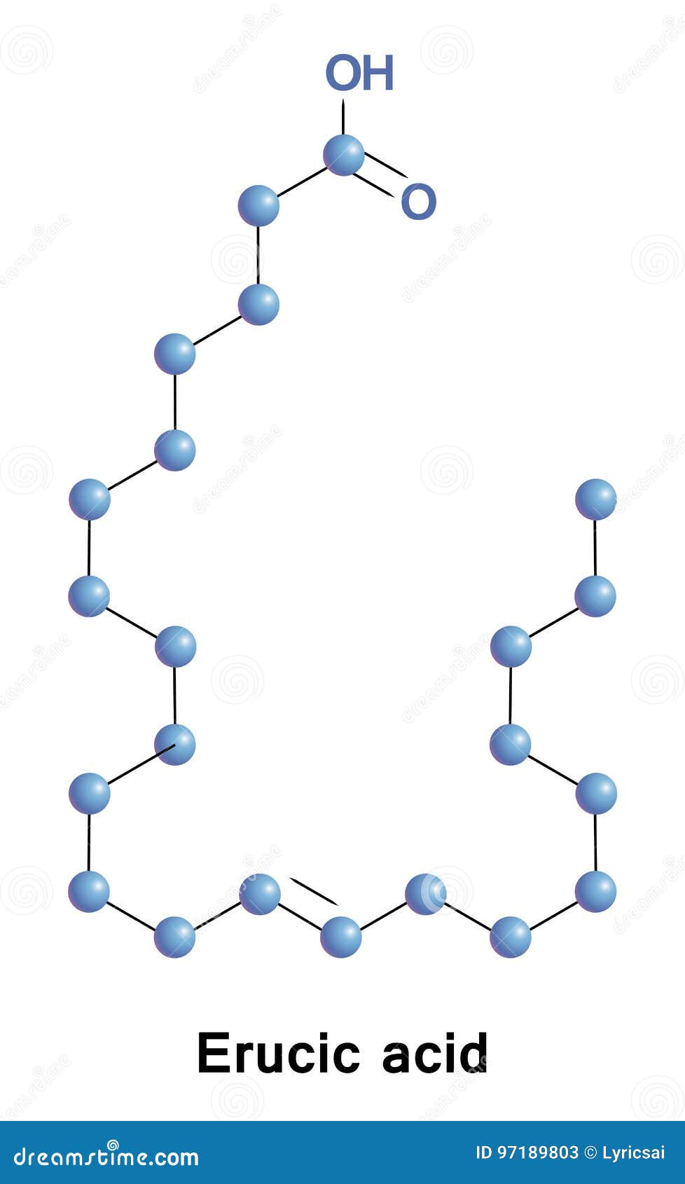 Erucic fatty acid stock vector. Illustration of skeletal - 97189803