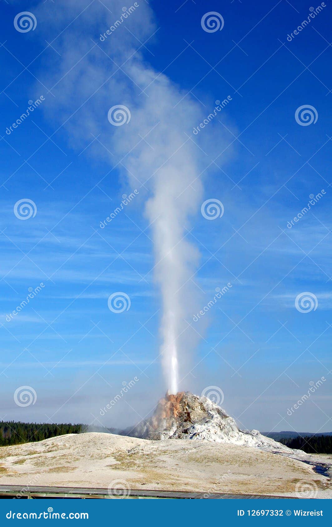 Erupting White Dome Geyser stock photo. Image of flow - 12697332