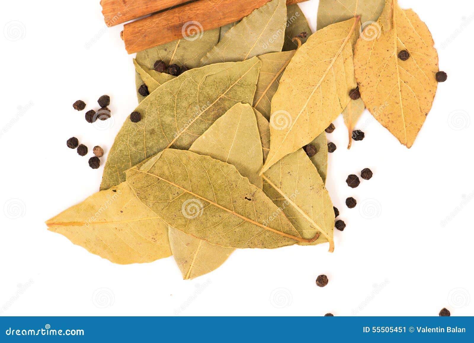 Erva Da Folha De Louro No Branco Imagem de Stock - Imagem de branco ...