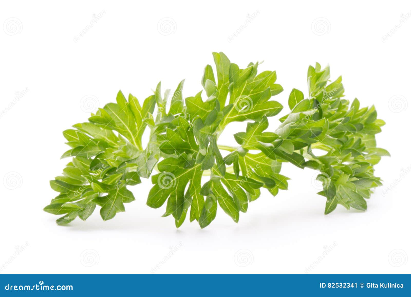 Erva Da Salsa Isolada No Fundo Branco Imagem de Stock - Imagem de ...