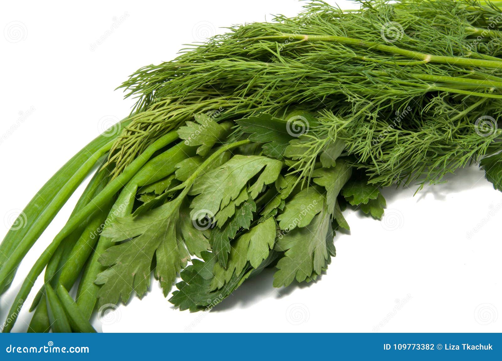 Erva-doce Verde Da Cebola Da Salsa Foto de Stock - Imagem de isolado ...