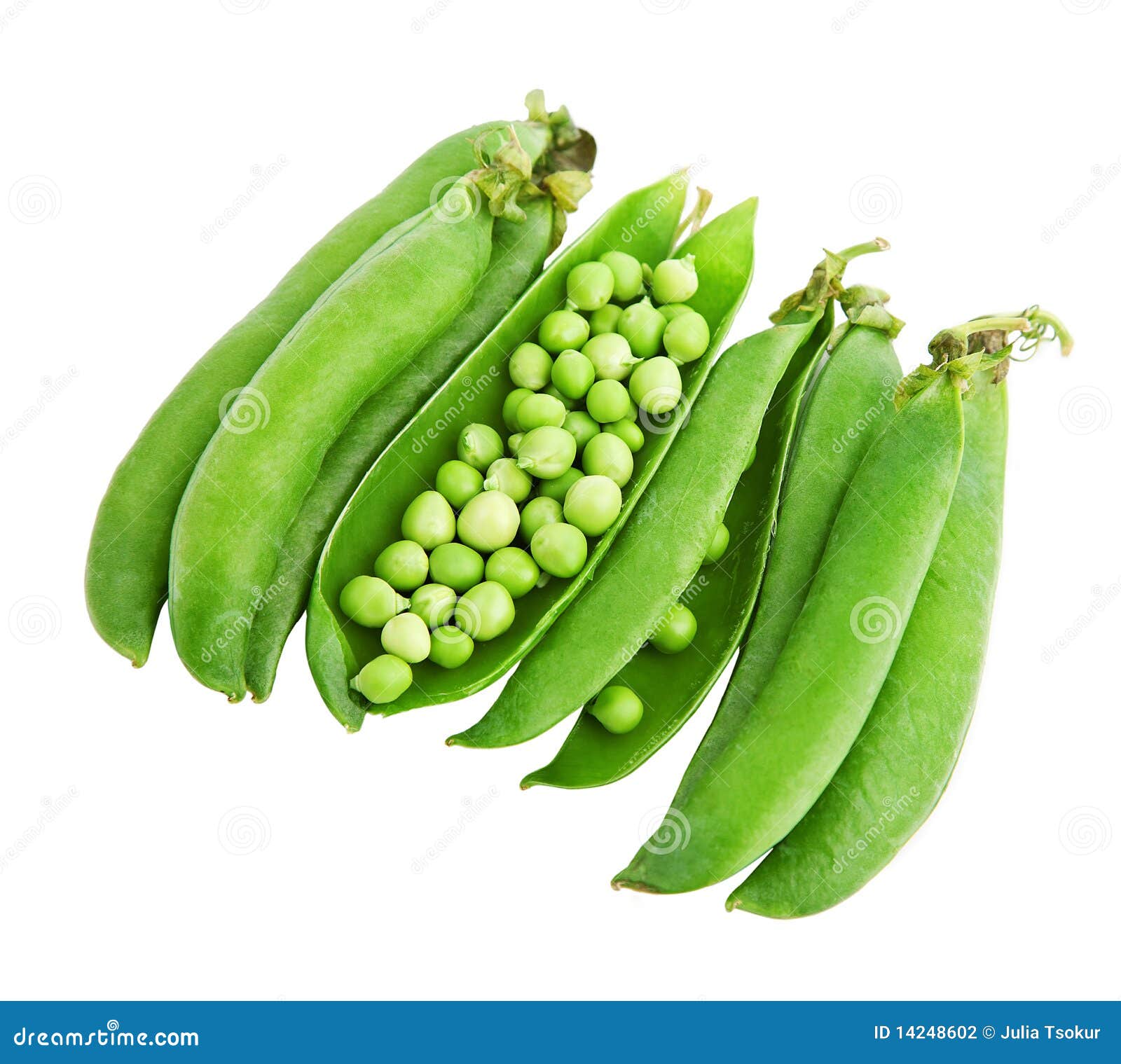 Ervilha verde. foto de stock. Imagem de aperitivo, doce - 14248602