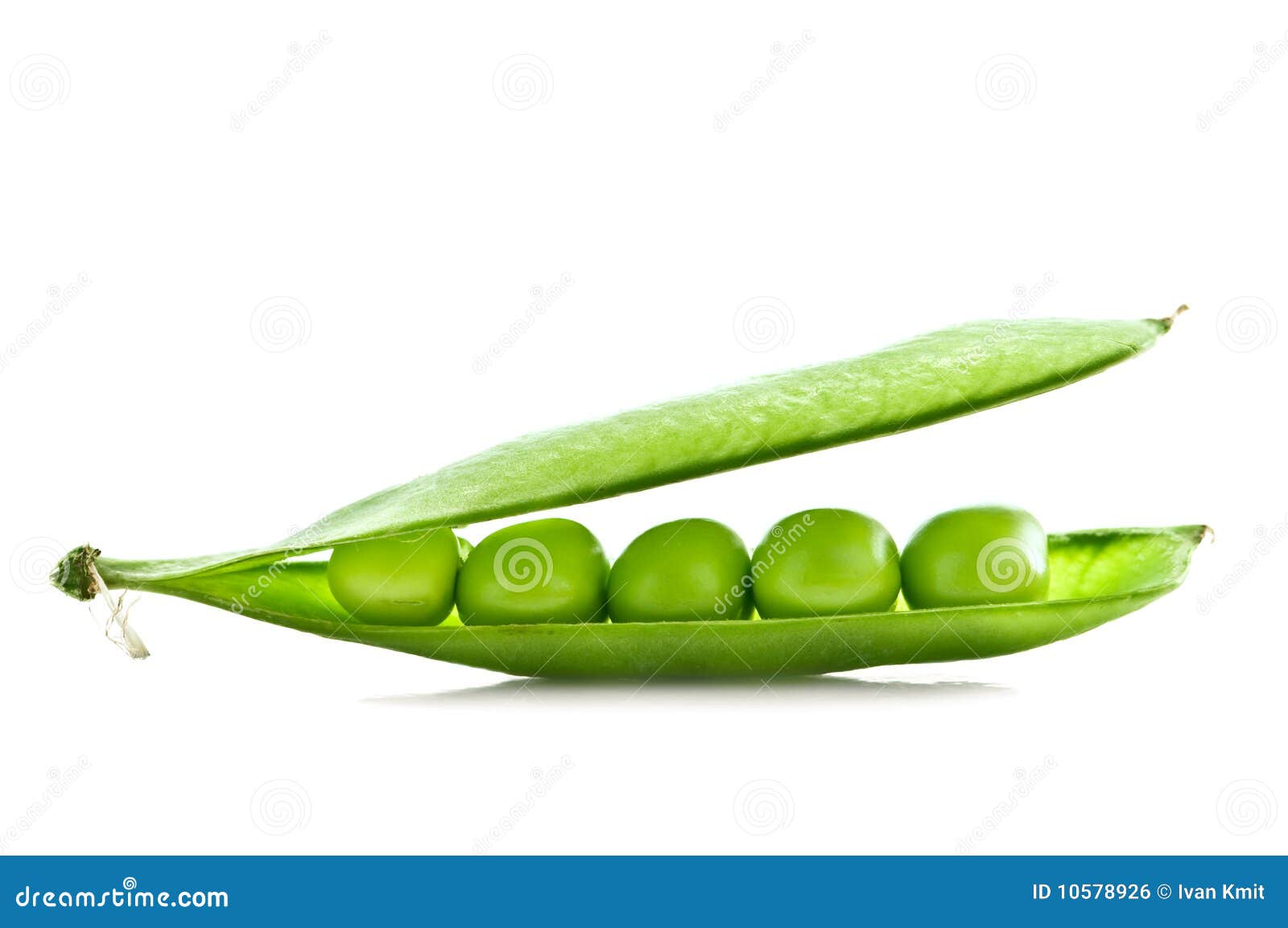 Erwt stock foto. Image of plantaardig, gewas, geïsoleerd - 10578926